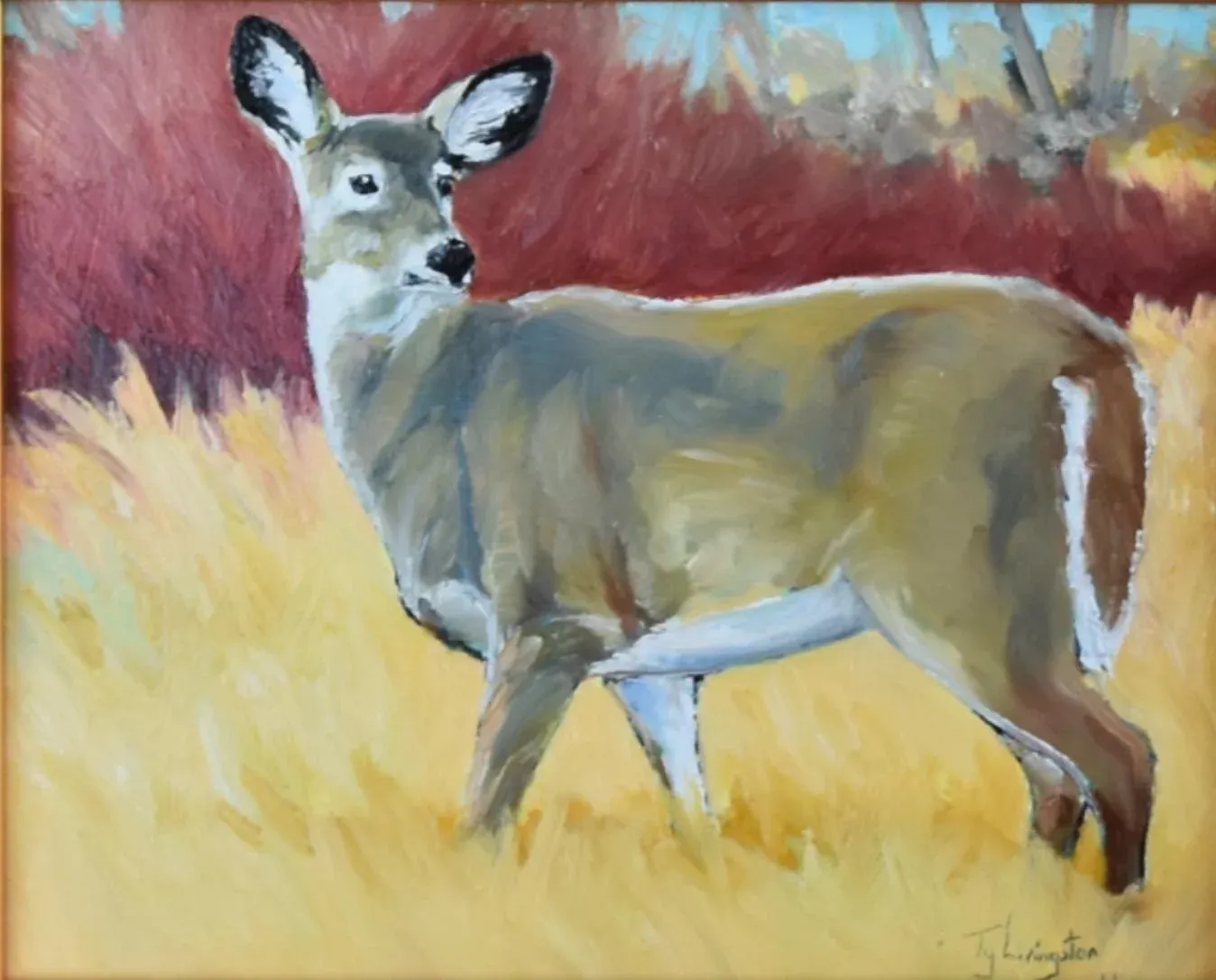 Doe Deer Art