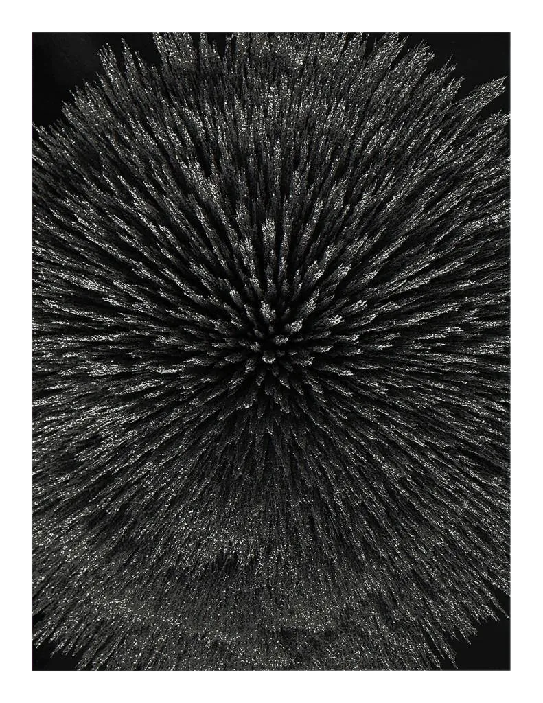 Seb Janiak "Magnetic Radiation 99 (Large)", Photograph | Chairish