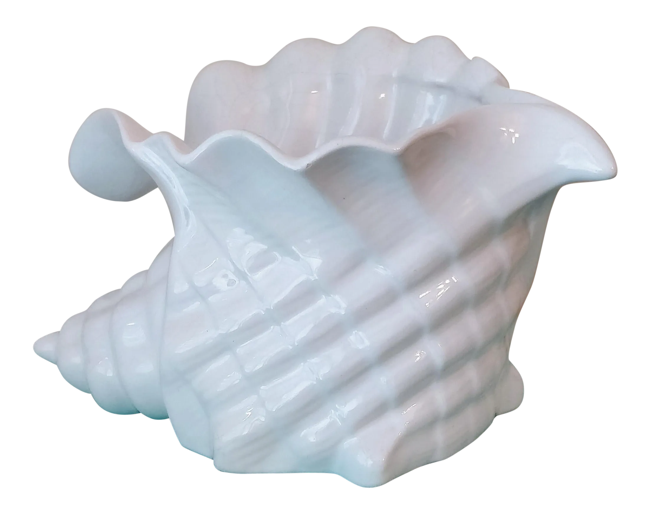 White Seashell Conch Portugal Planter | Chairish