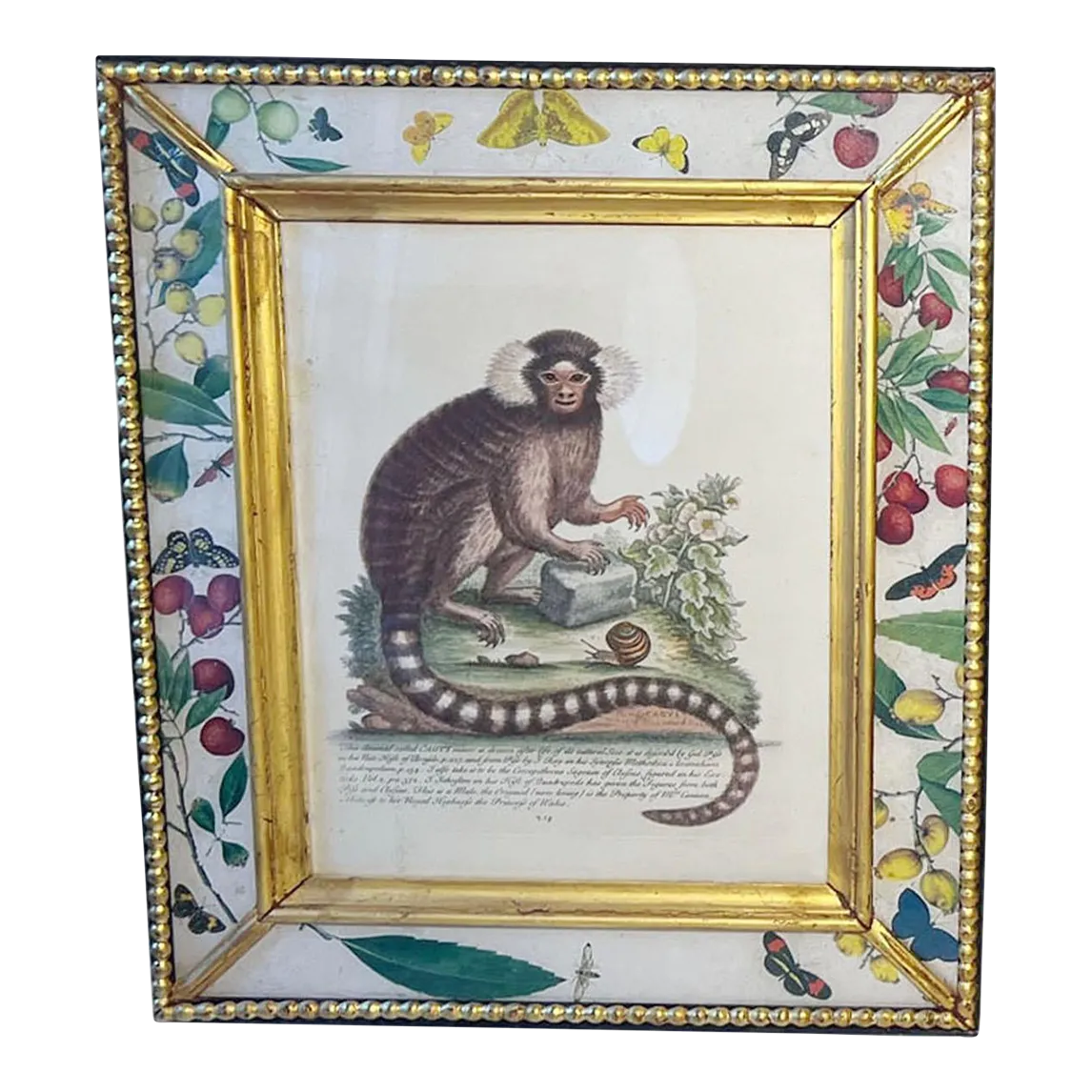 Antique Monkey Engraving | Chairish