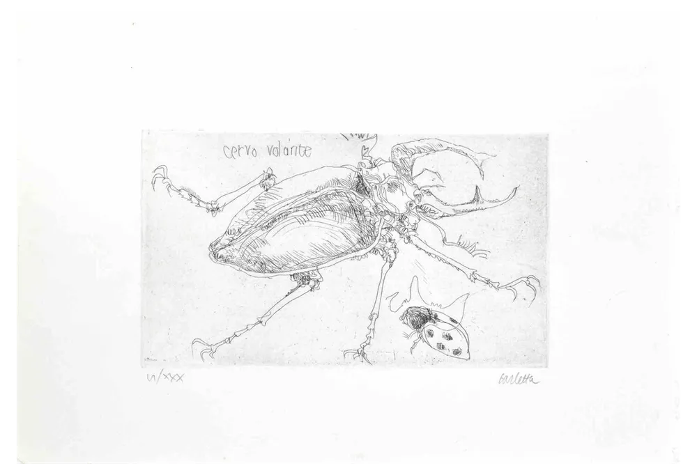 Sergio Barletta, Insects, Etching, 1974 | Chairish