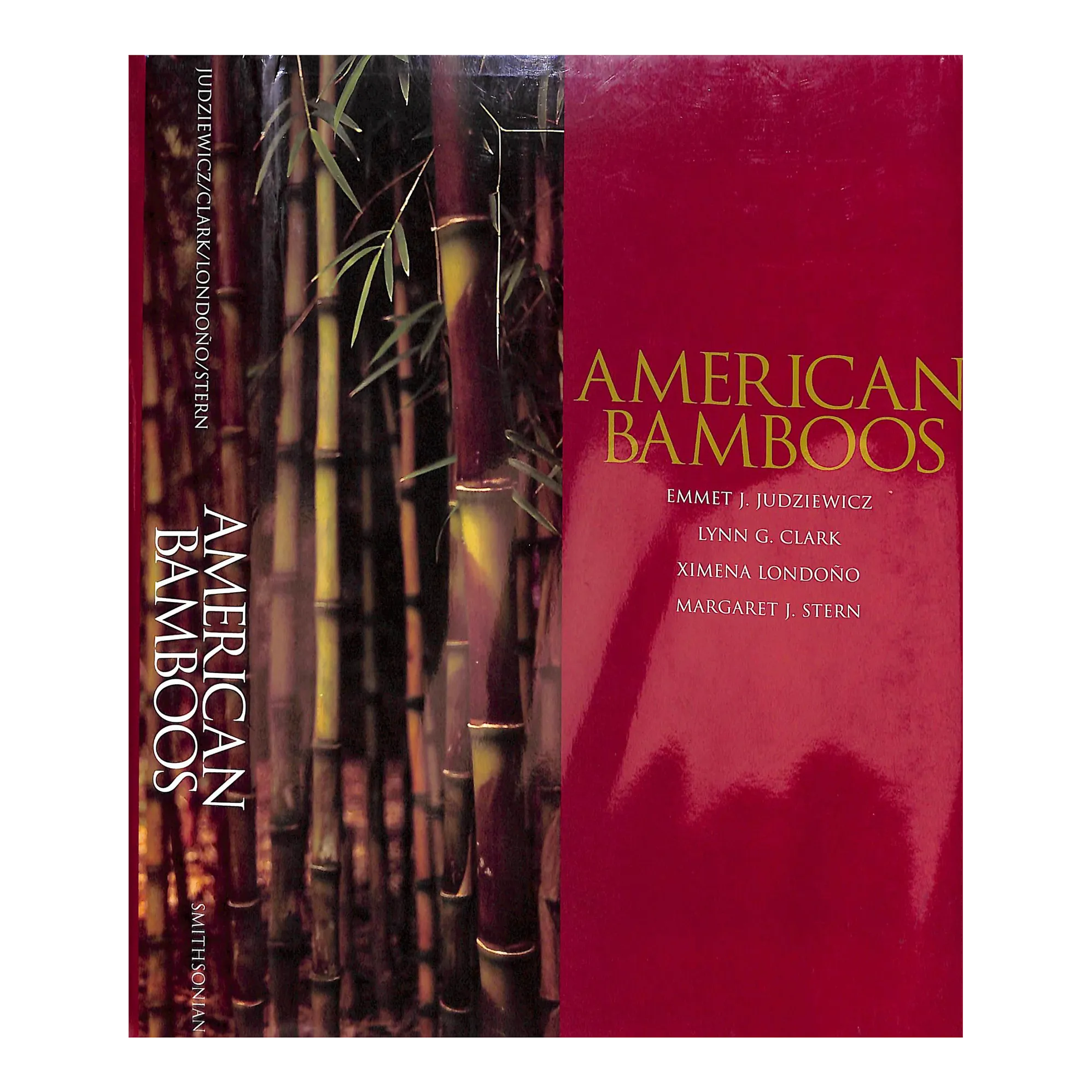 "American Bamboos" 1999 Judziewicz, Emmet J. | Chairish