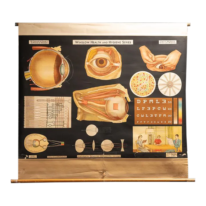 1950s Winslow Heath and Hygiene Series. W11: The Eye. | Chairish