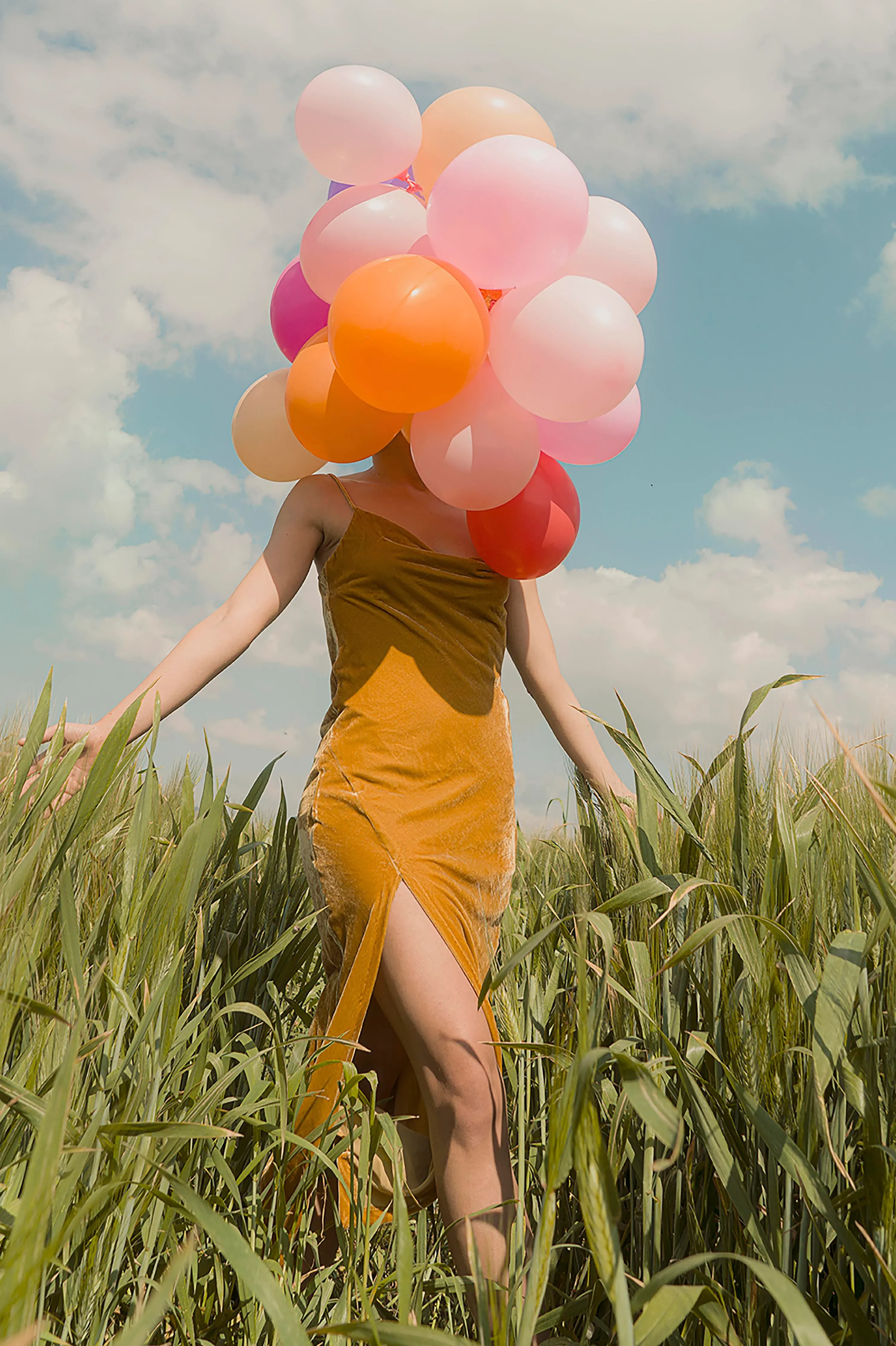 "Ballon Field" Contemporary Original Photograph by Carla Sutera Sardo ...