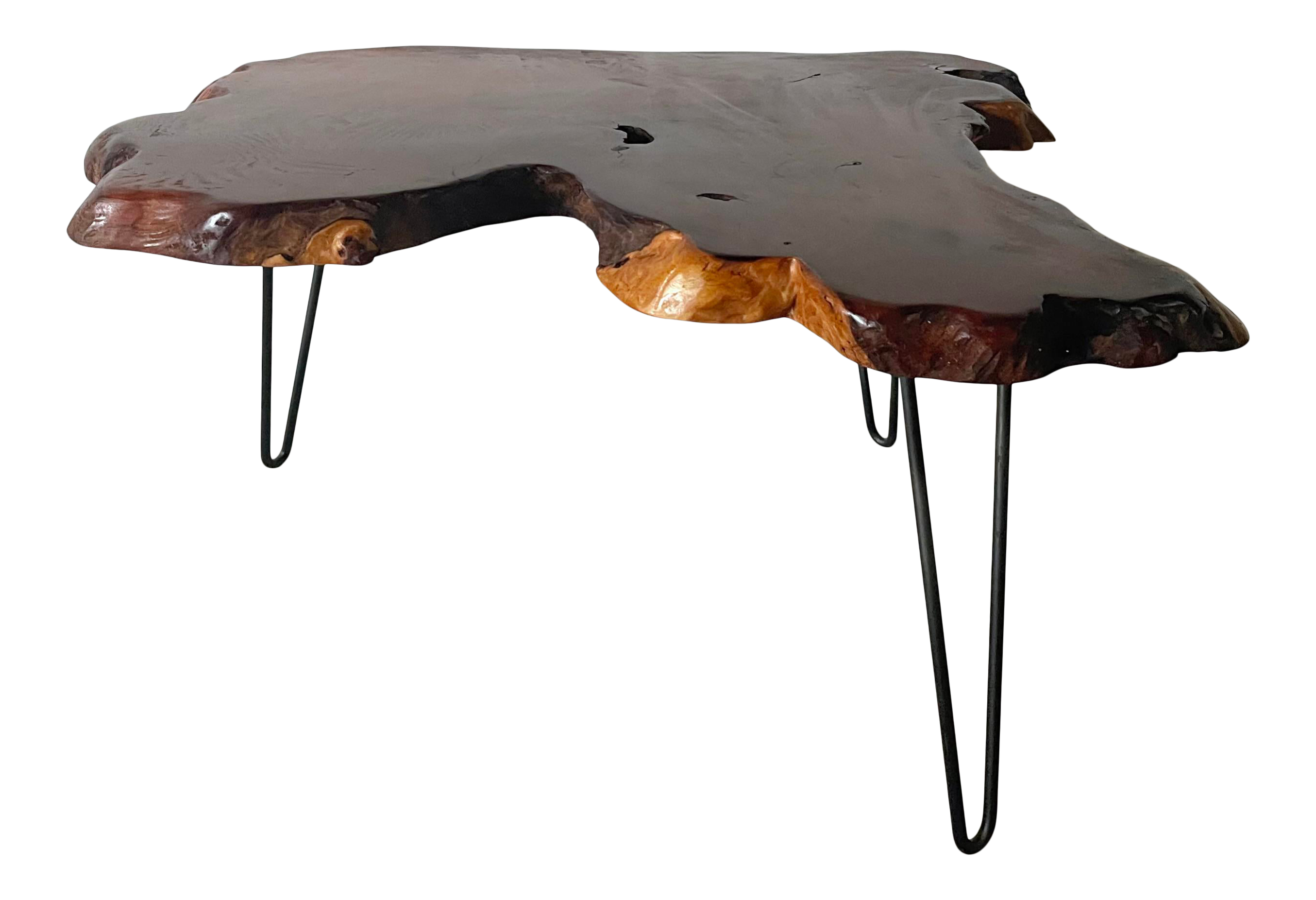 Vintage Modern Rustic Tree Slab Table | Chairish