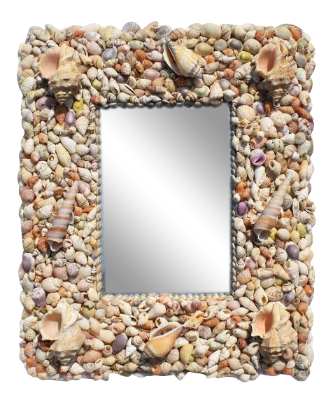 Coastal Rectangular Sea Shell Encrusted Wall Mirror | Chairish