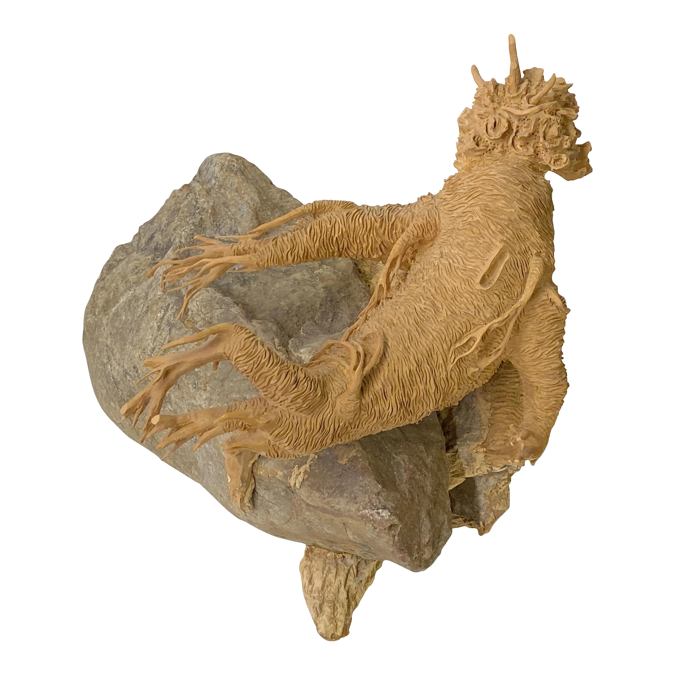Artistic Natural Wood on Stone Carve Into Chinese Ginseng Root ...
