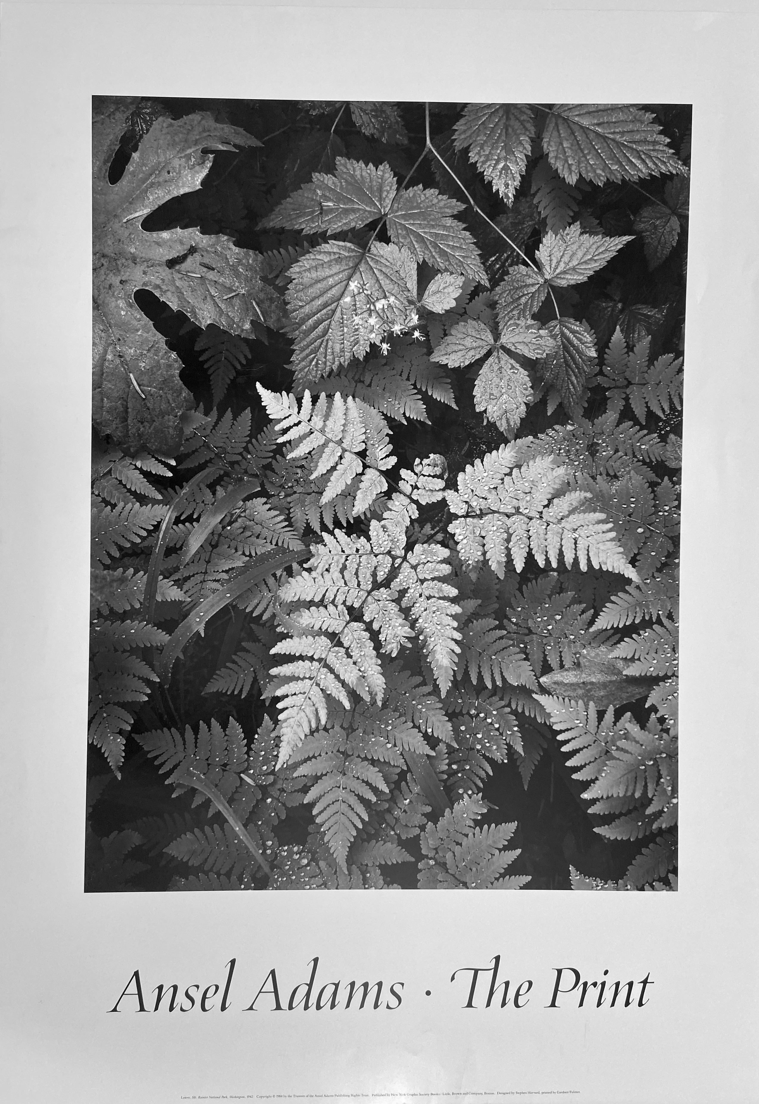 1942 "The Print" Ansel Adams Mt. Rainer National Park Washington Poster ...