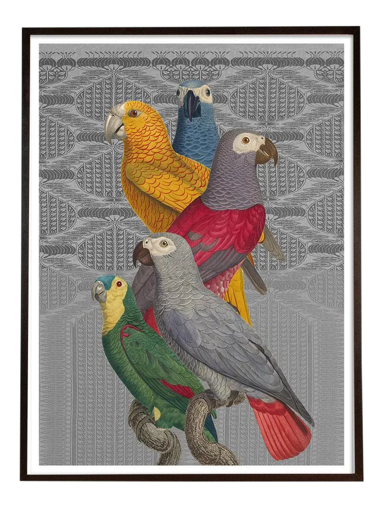 "Les Perroquet" Parrot Collage Print Antique Birds by Capricorn Press ...
