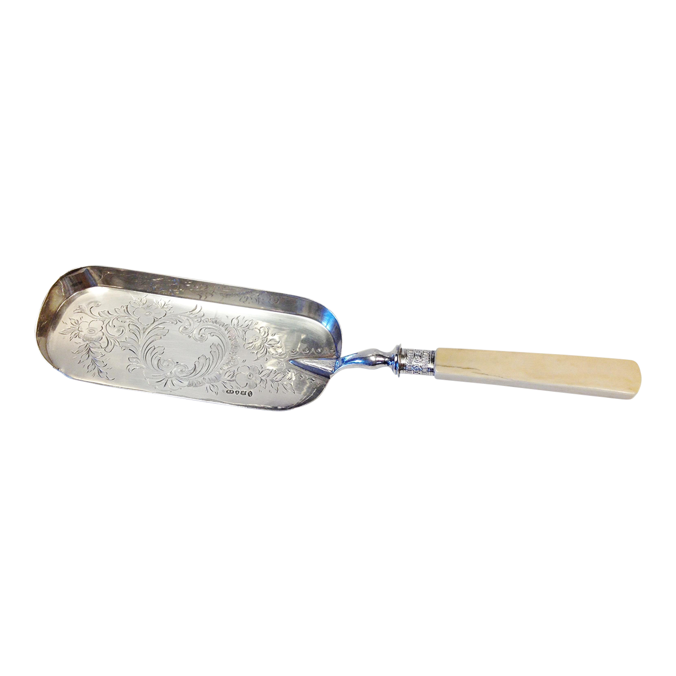 Antique English Silver and Bone Crumber Circa 1904 Sheffield Richard ...