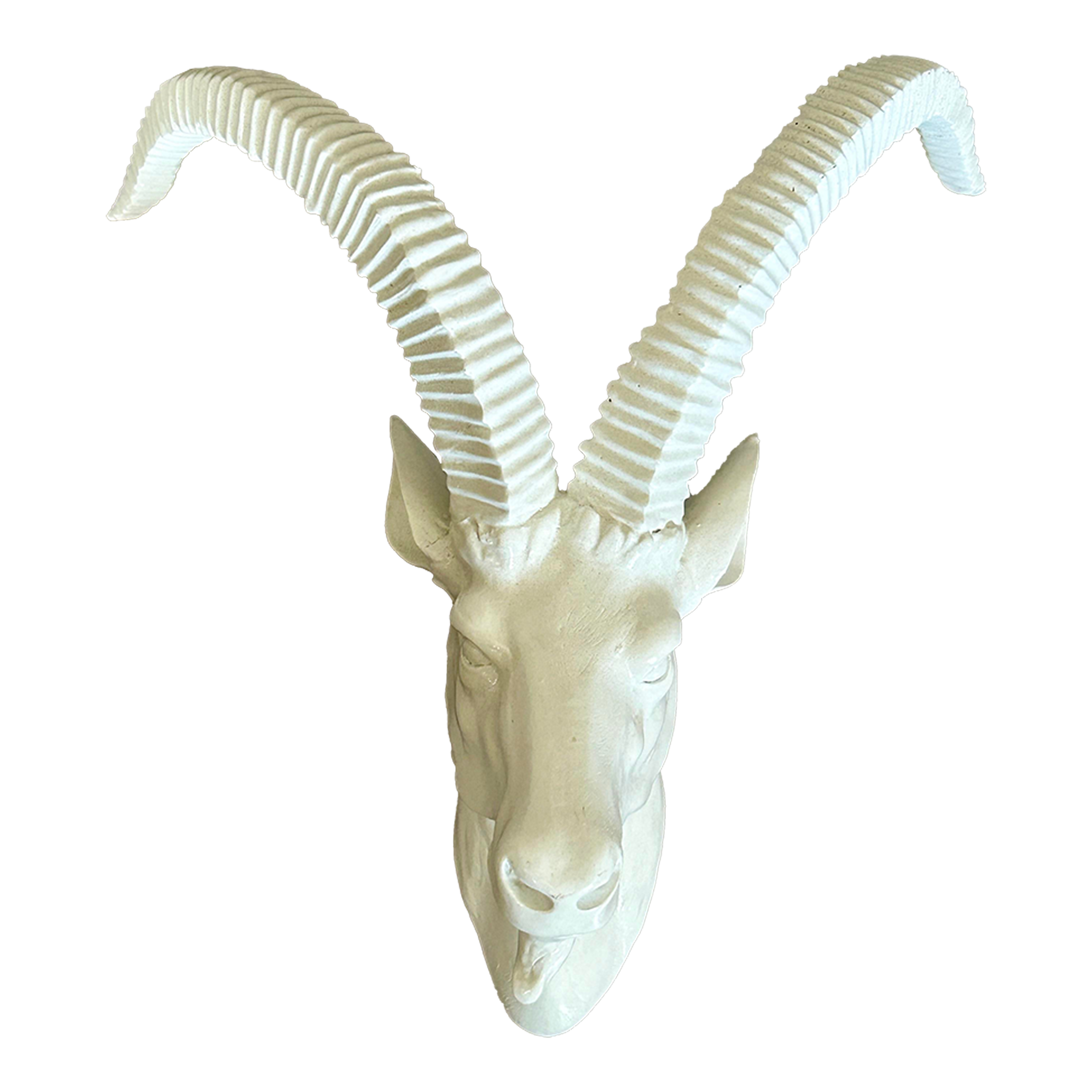 Vintage Faux Taxidermy White Goat Head Wall Mount | Chairish