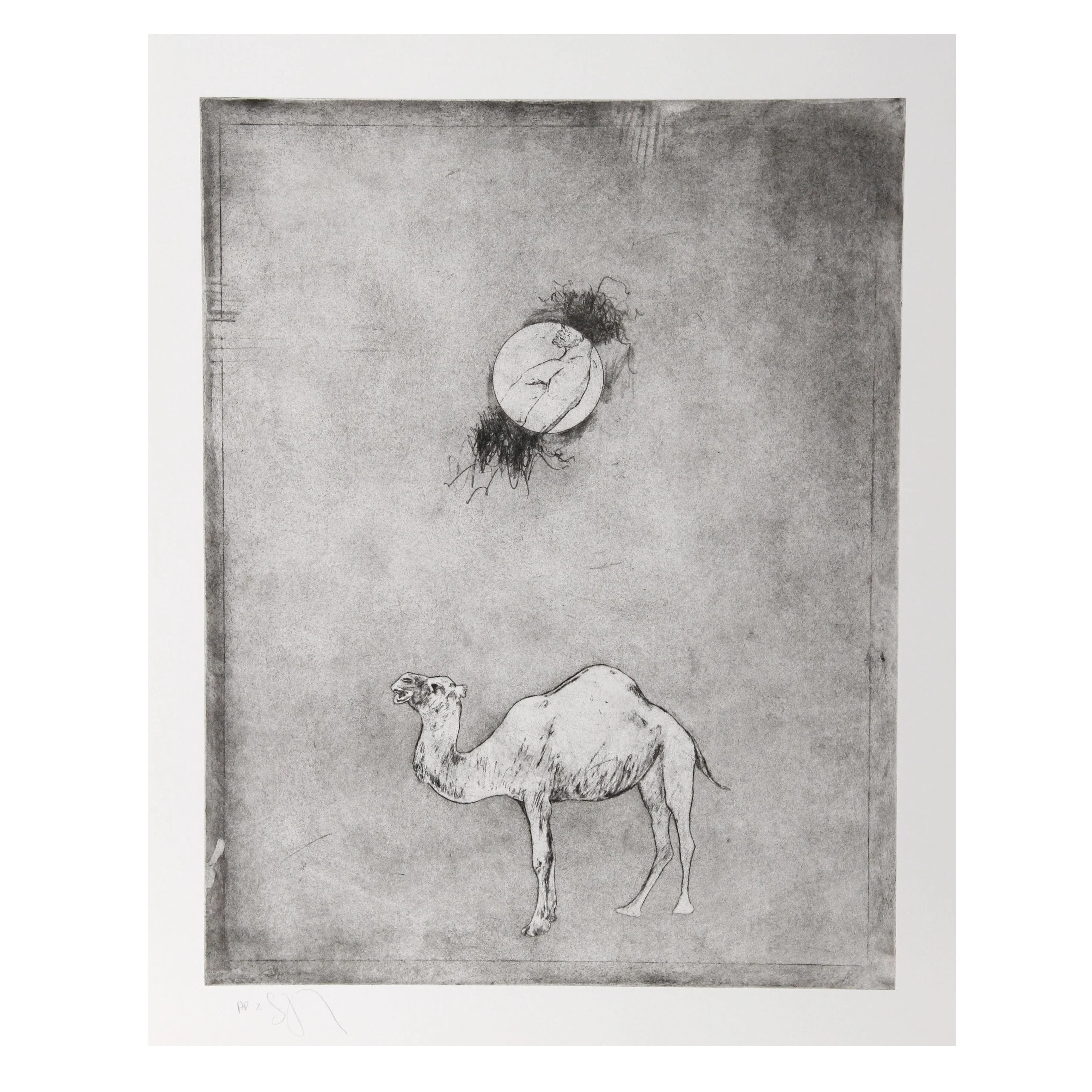 Donald Saff - Camel Moon Etching | Chairish