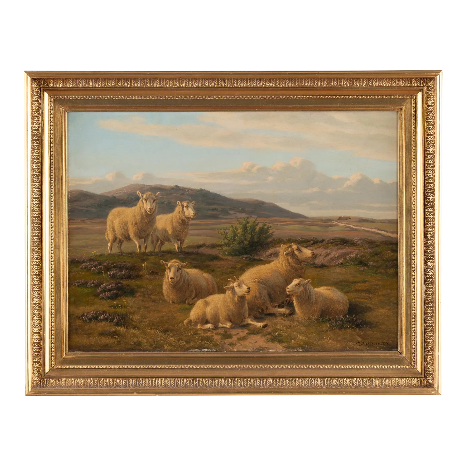 Original Oil on Canvas Painting of Sheep, Signed and Dated a.p Madsen 1886 | Chairish