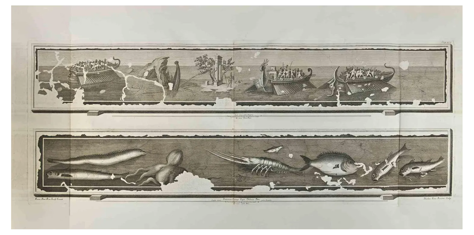 Roccus Pozzi, Antiquities of Herculaneum, Etching, 18th Century | Chairish