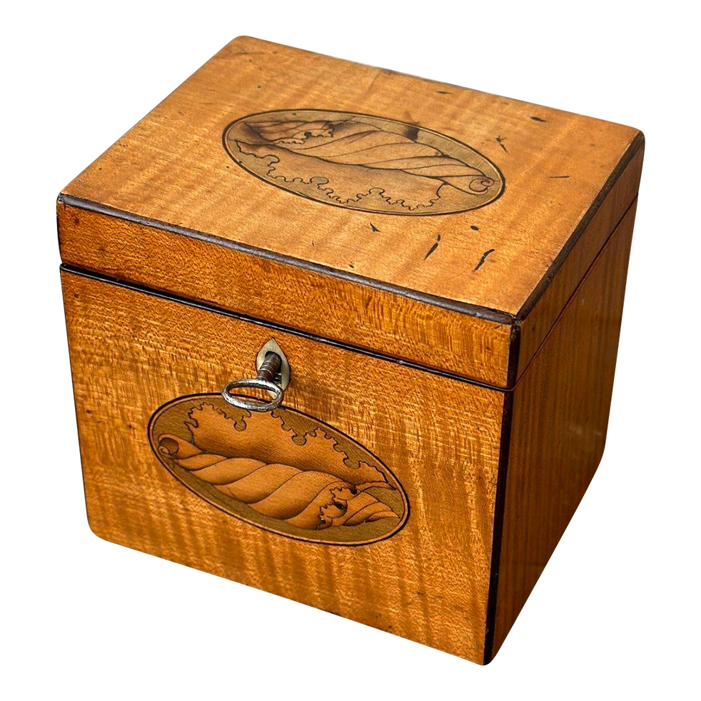 Antique Regency-Era Inlaid Conch Shell Tea Caddy, Circa 19th Century ...