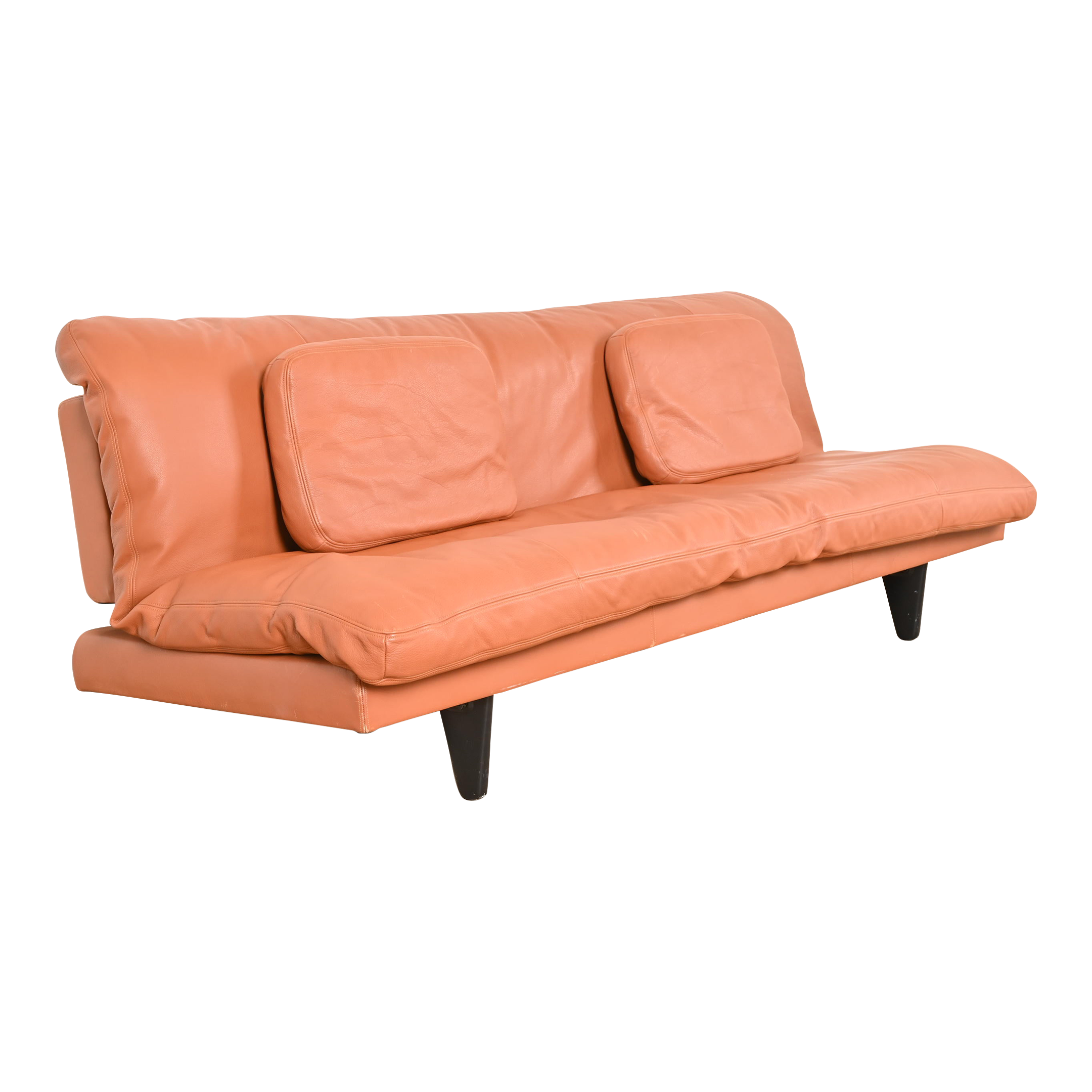 De Sede Ds 169 Scandinavian Modern Convertible Daybed Sofa by Ernst ...