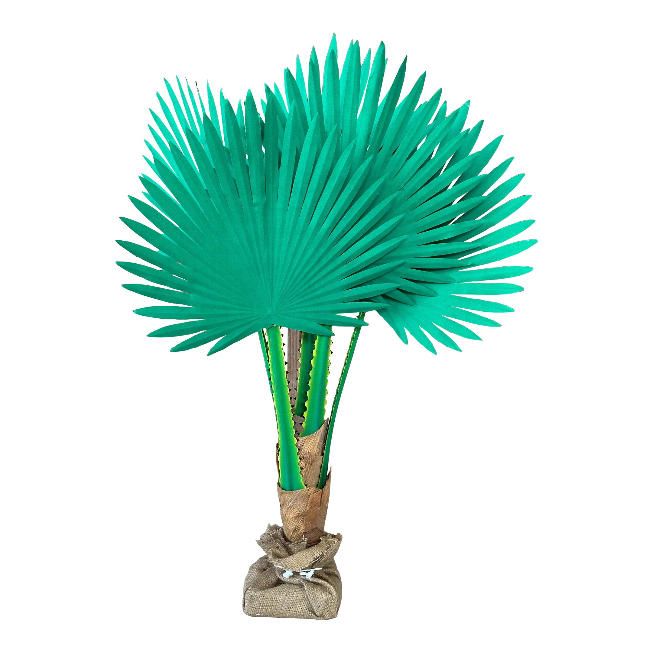 Tropical Coastal Canvas “Buri” Palm Tree | Chairish