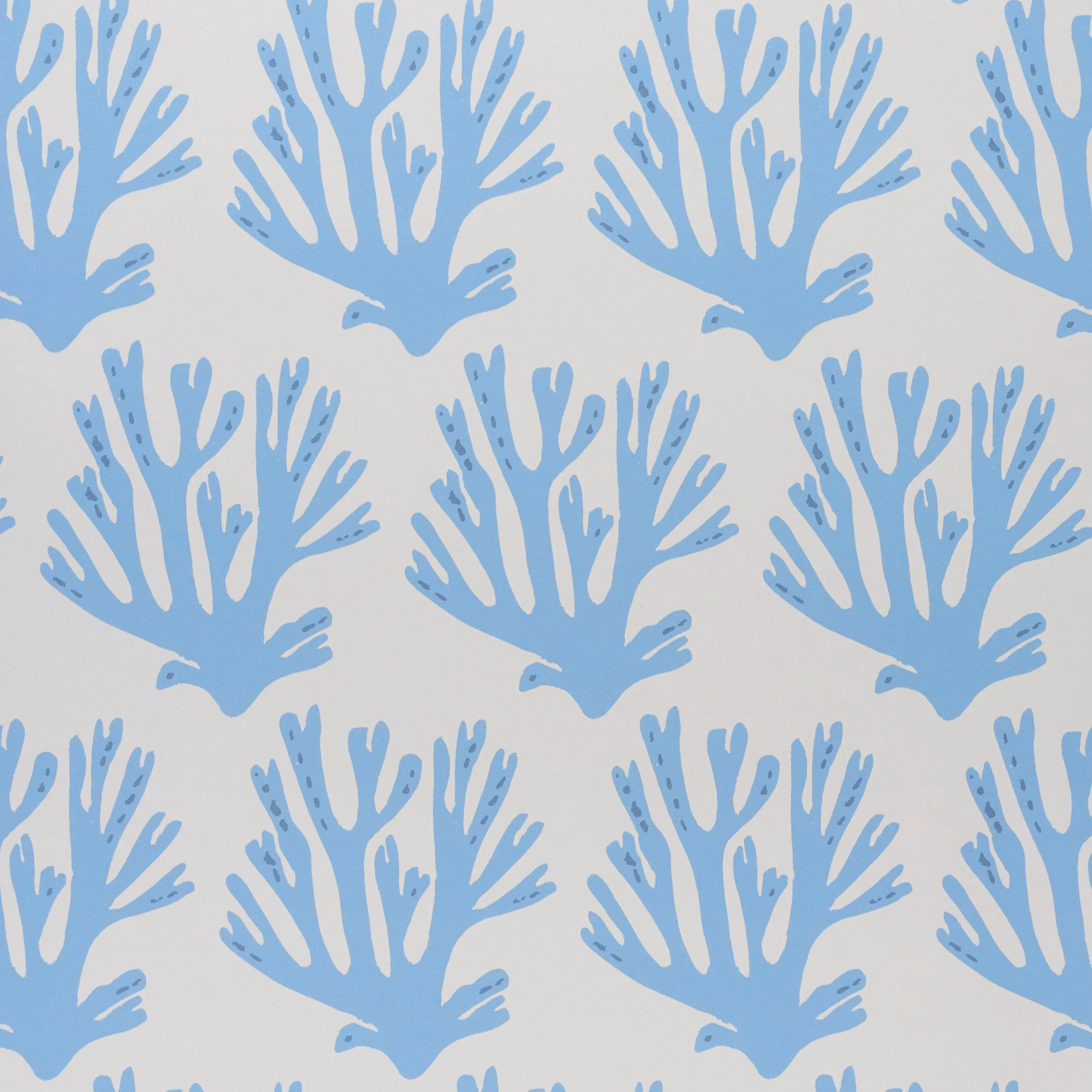 Coral Wallpaper Patterns