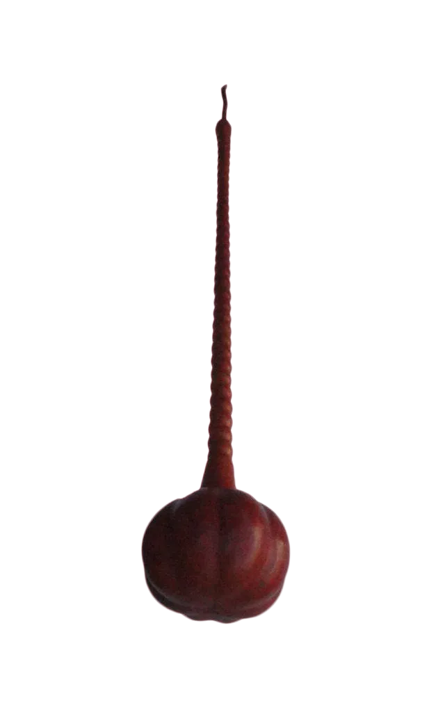 Chinese Natural Long Stick Gourd Fengshui Display | Chairish