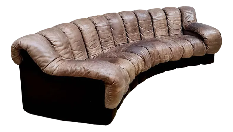 Vintage Modular Leather Snake Sofa Ds 600 by Elenora Peduzzi for de ...