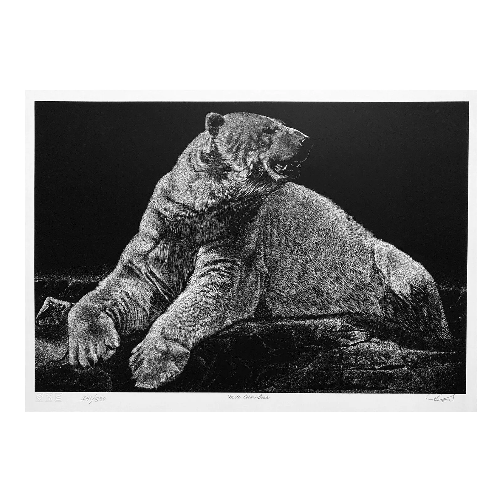 1990s Robert Pow Male Polar Bear Print | Chairish