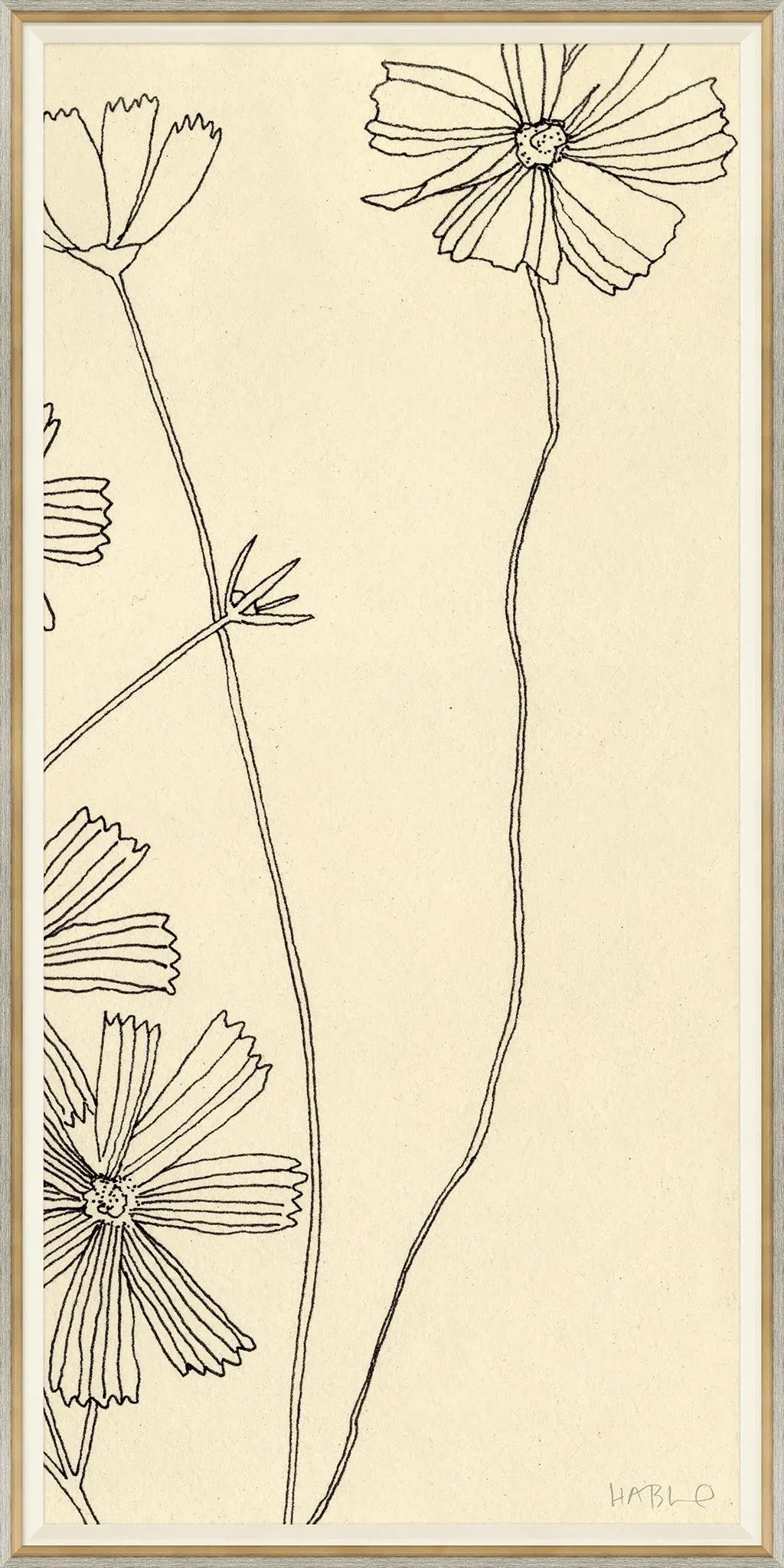 Cosmos III Framed Art Print | Chairish