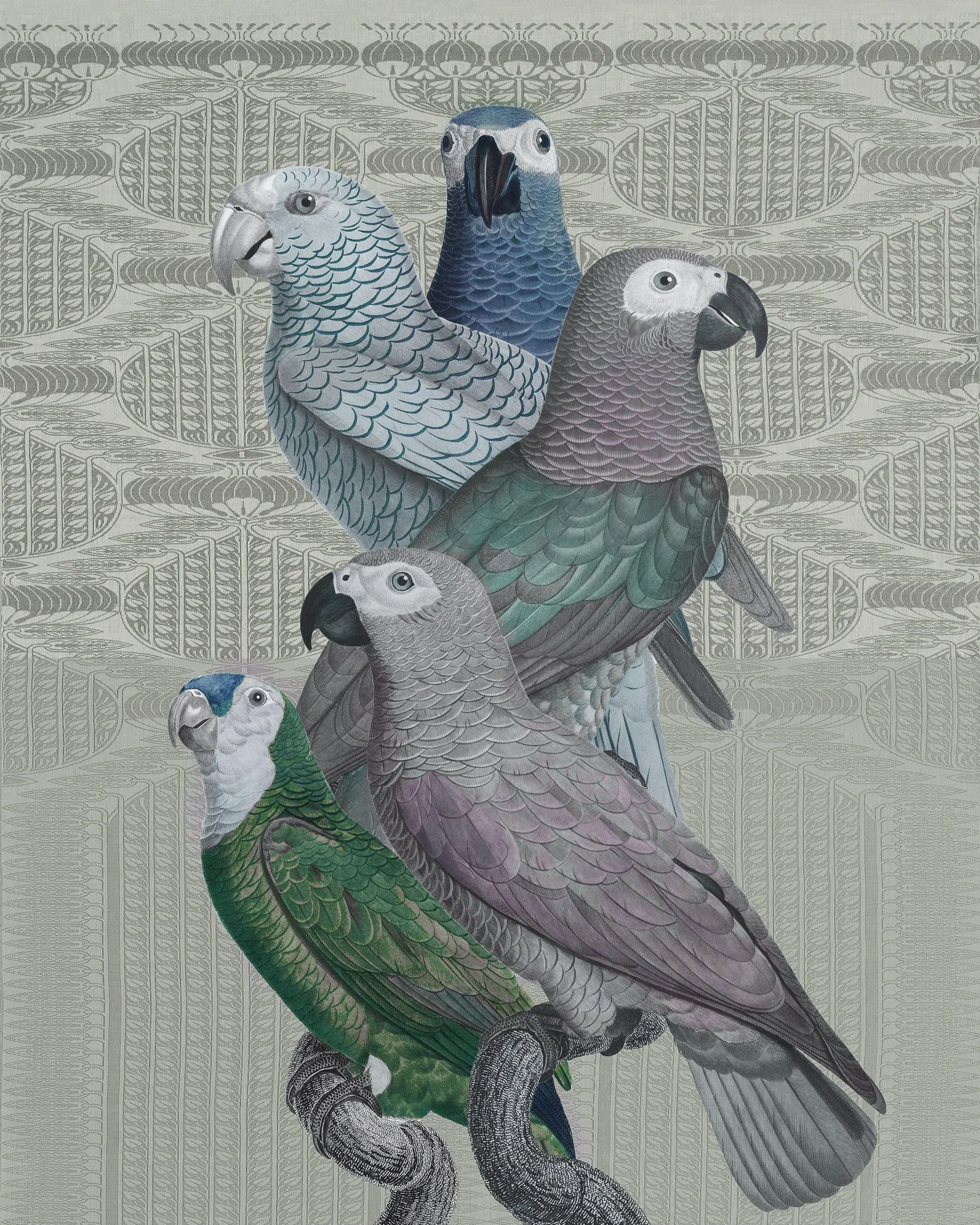 "Parrot Collage in Greens" Contemporary Animal Still Life Print | Chairish