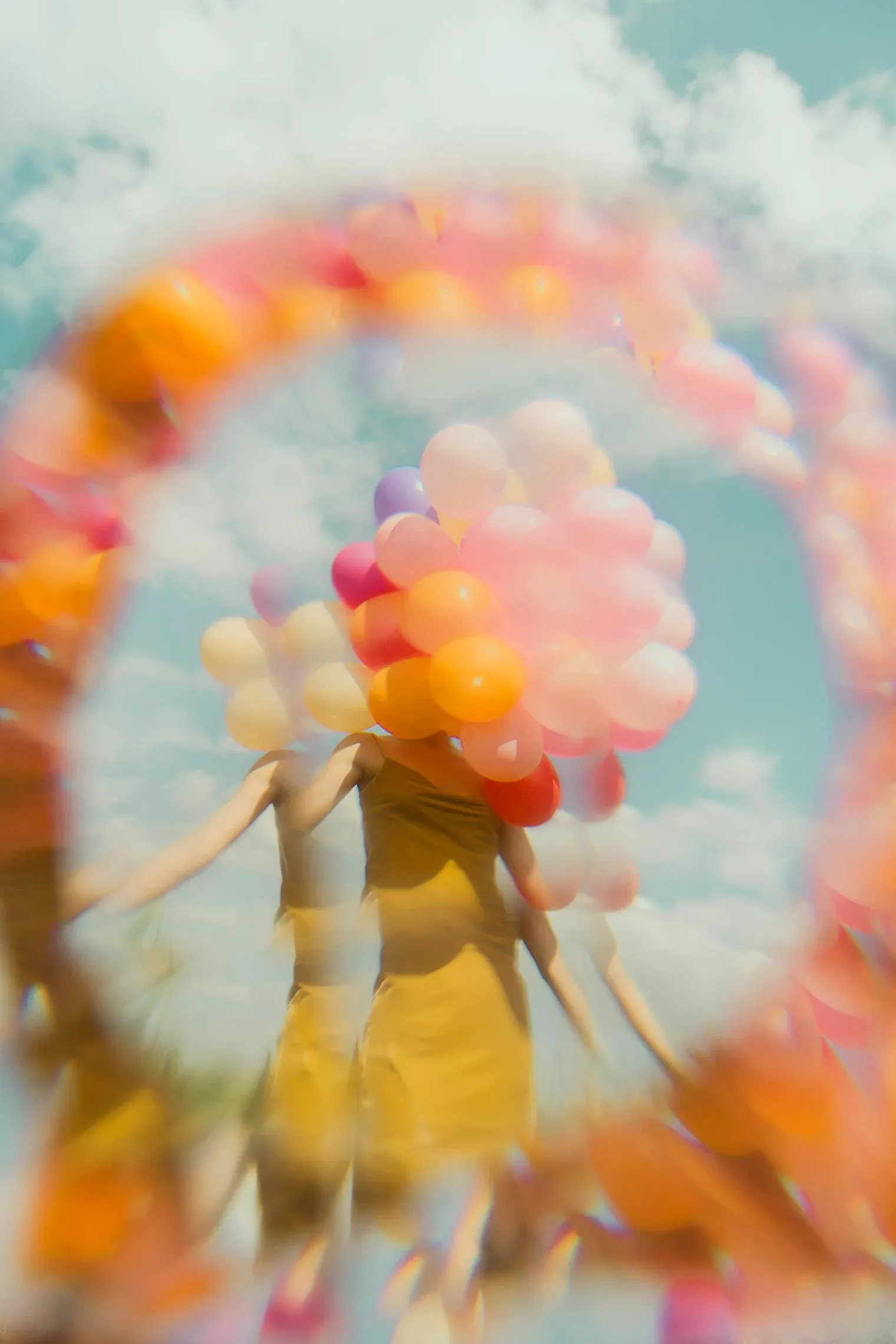 "Bloom" Contemporary Original Photograph by Carla Sutera Sardo | Chairish