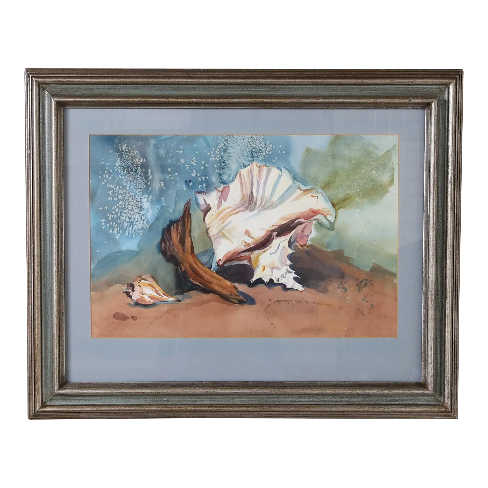 Still Life Watercolor of a Conch Shell | Chairish