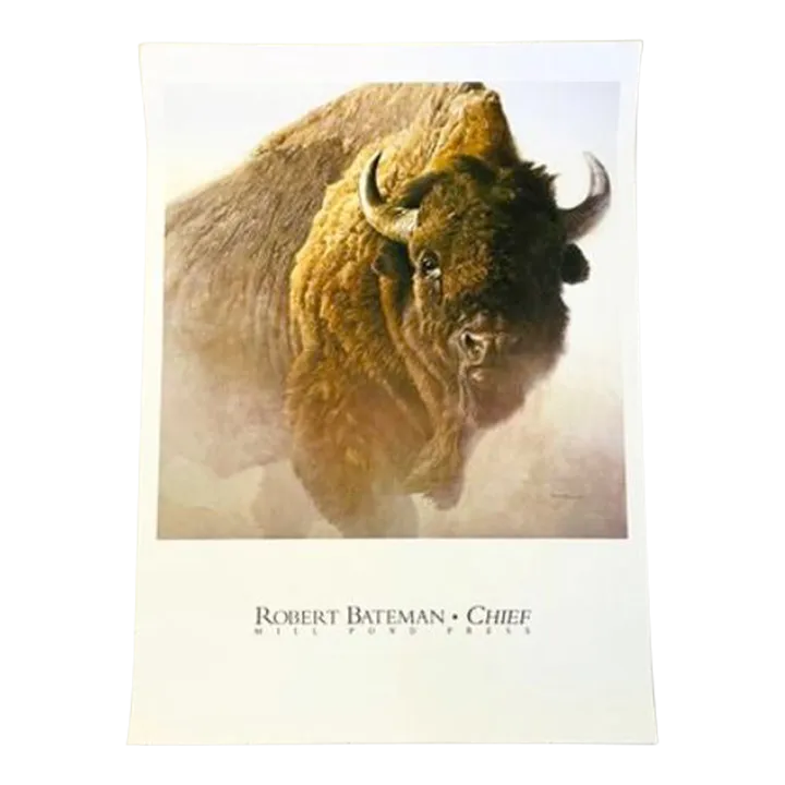 Vintage Bison Study Poster by Robert Bateman 1997 | Chairish