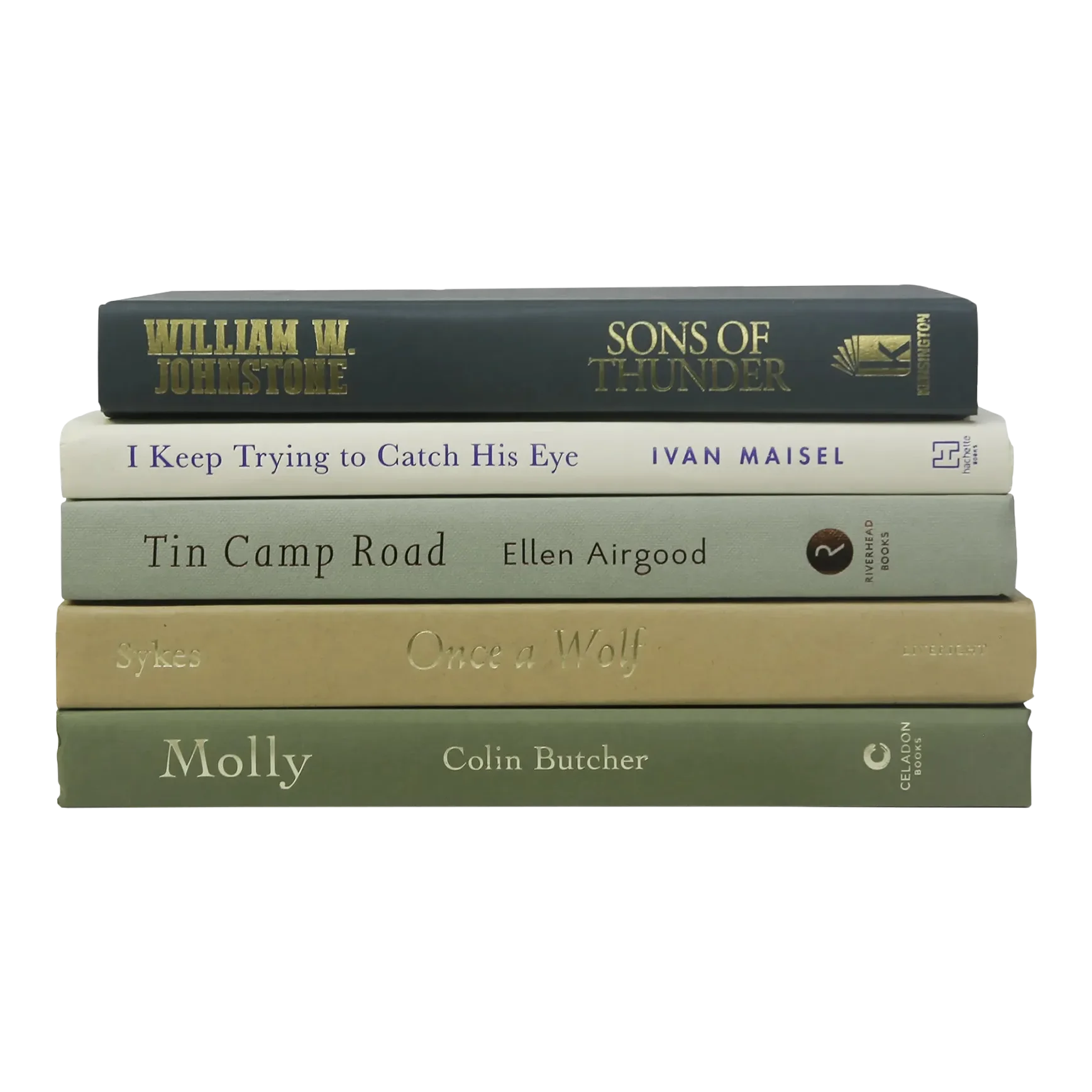 Modern Savannah Book Stack, S/5 | Chairish