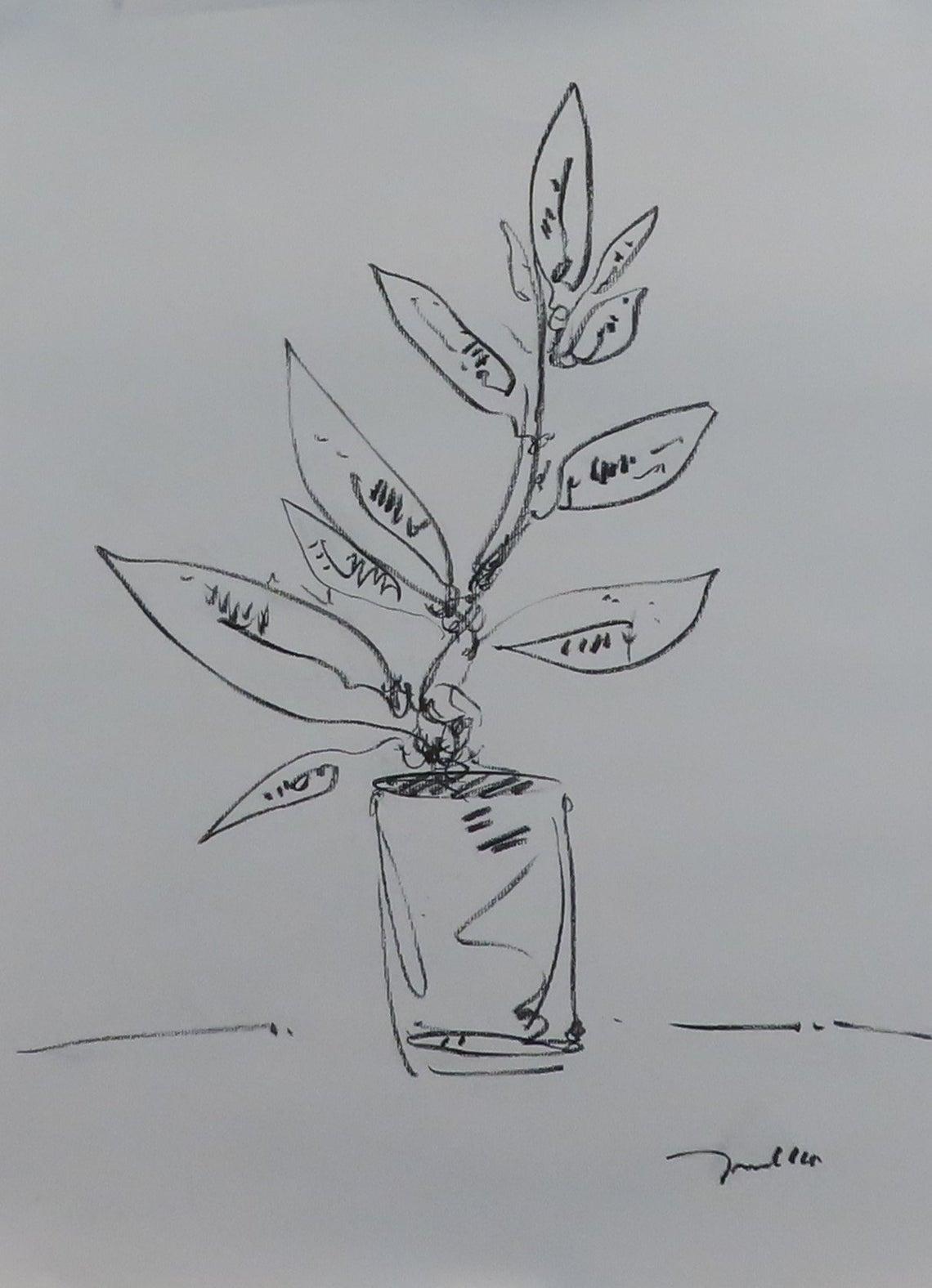Contemporary Leafy Plant Still Life Charcoal Drawing on Paper by Jose ...