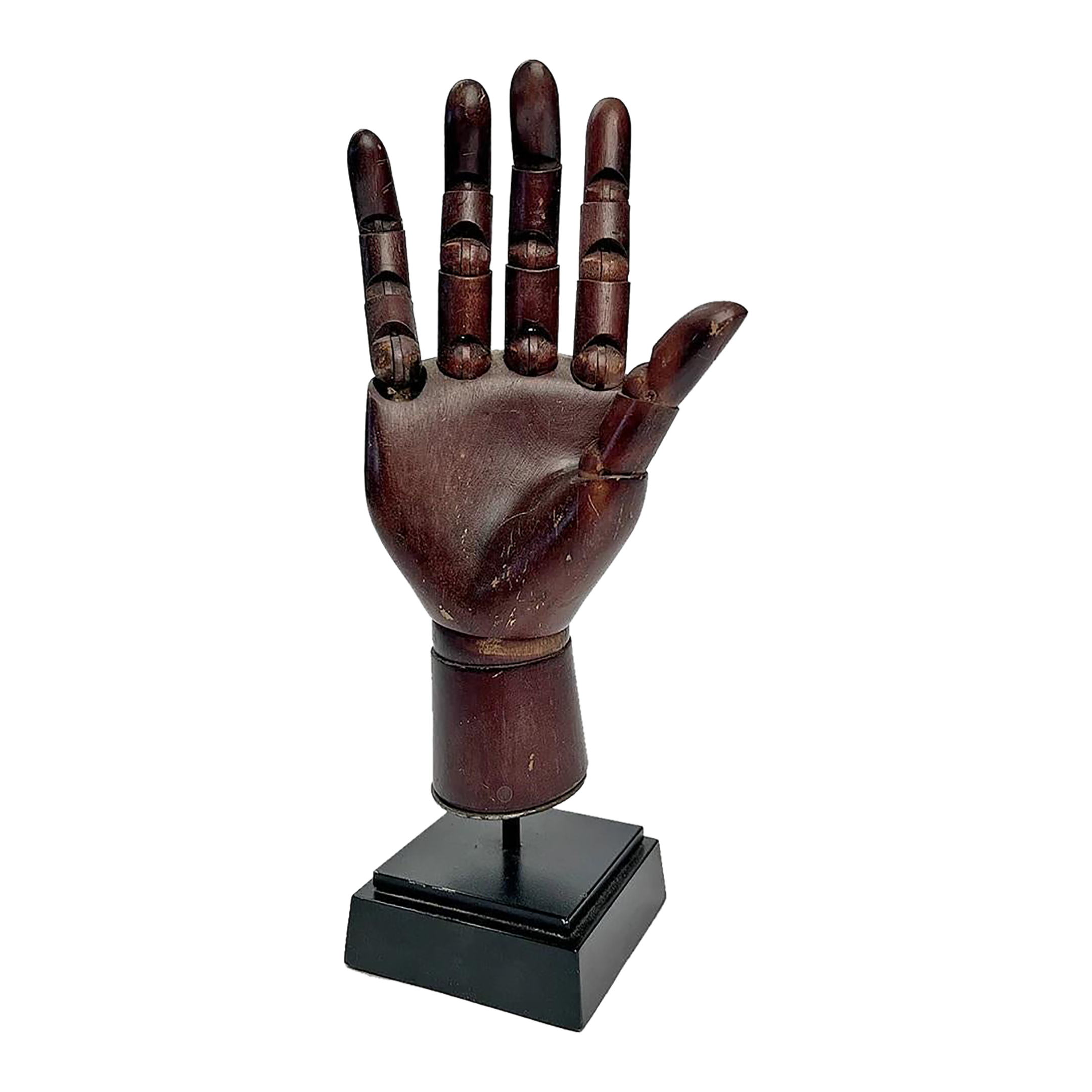 Early 20th Century Articulated Hand Model | Chairish
