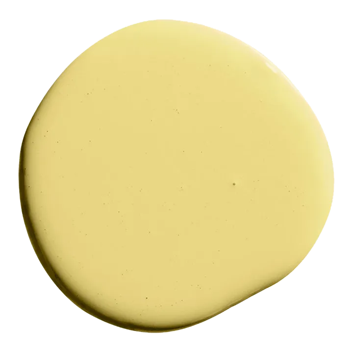 BACKDROP Adhesive Sample Swatch in Disco Nap (Light Acid-Yellow) | Chairish