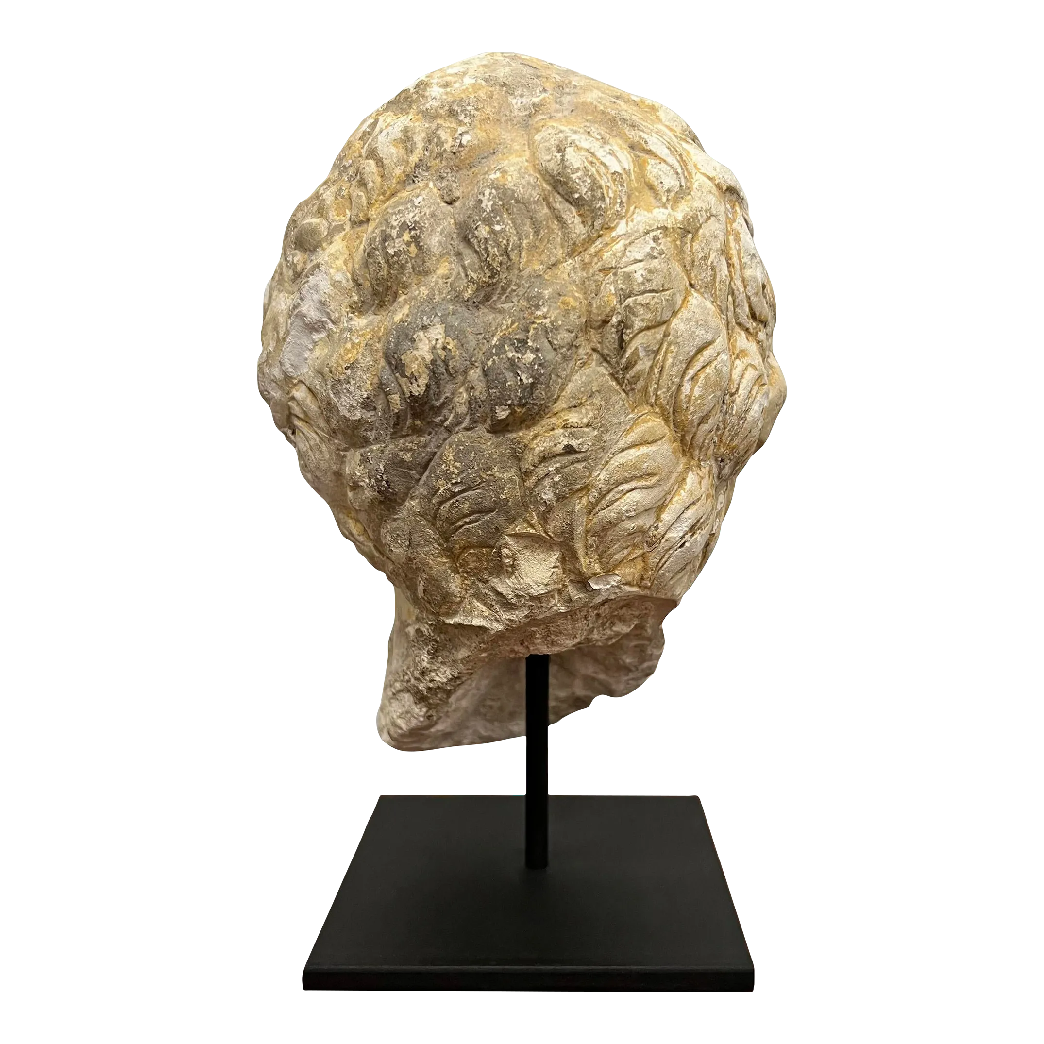 15th Century French Carved Limestone Head Fragment | Chairish