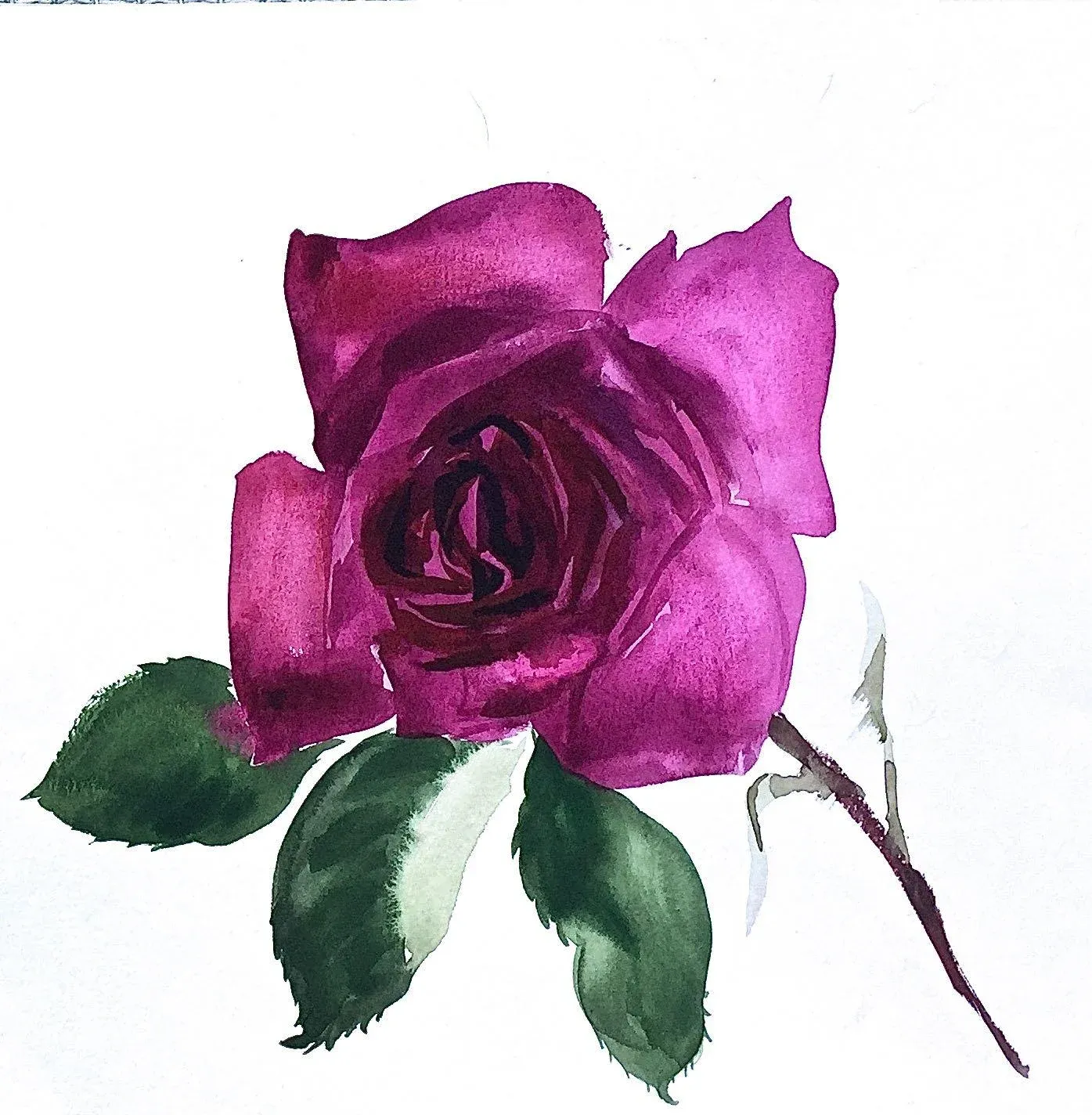Deep Magenta Rose Floral Watercolor Painting by Gretchen Kelly | Chairish