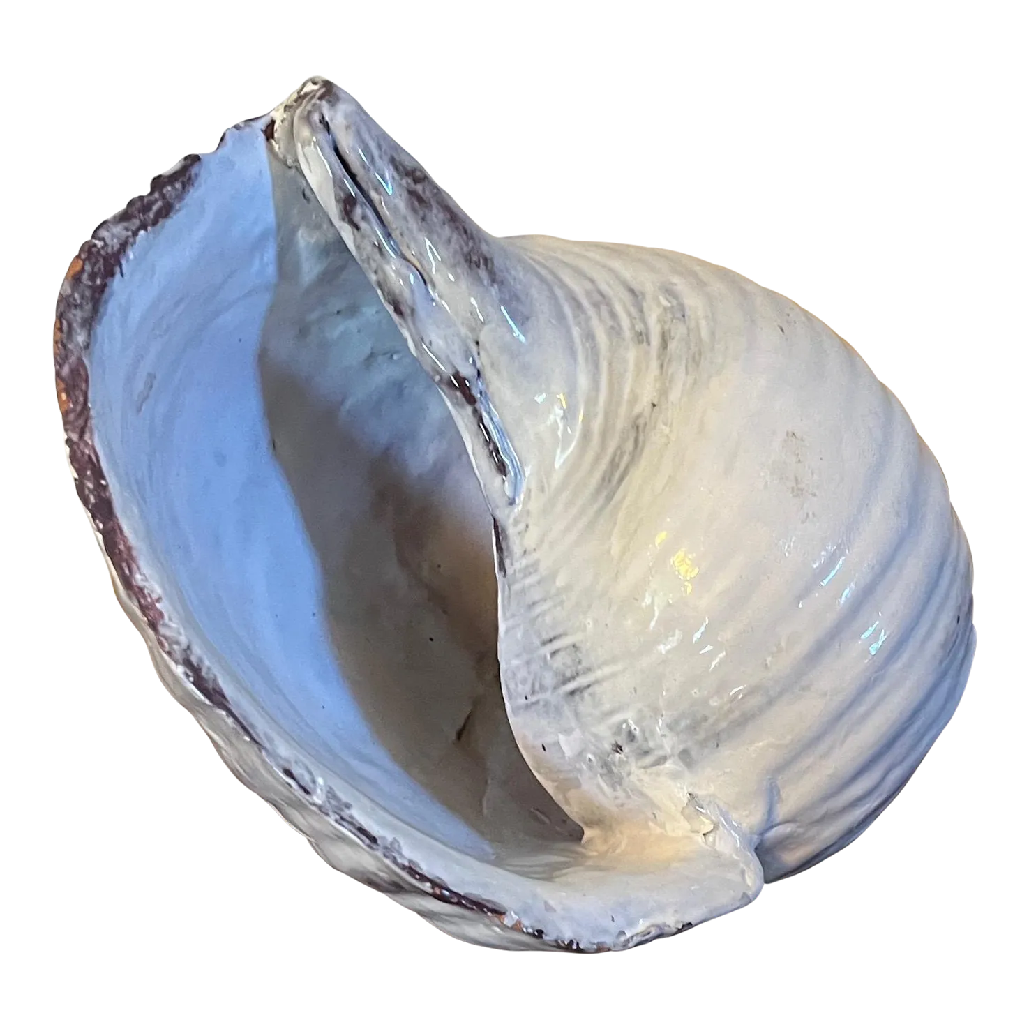 Mid 20th Century Art Pottery Sea Shell - Model of the Pacific Tun ...