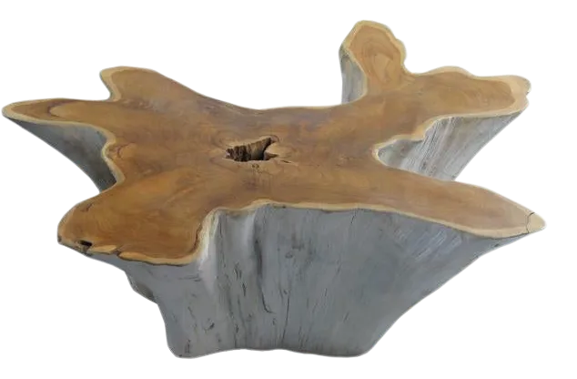 Organic Modern Two-Tone Teak Root Coffee Table | Chairish