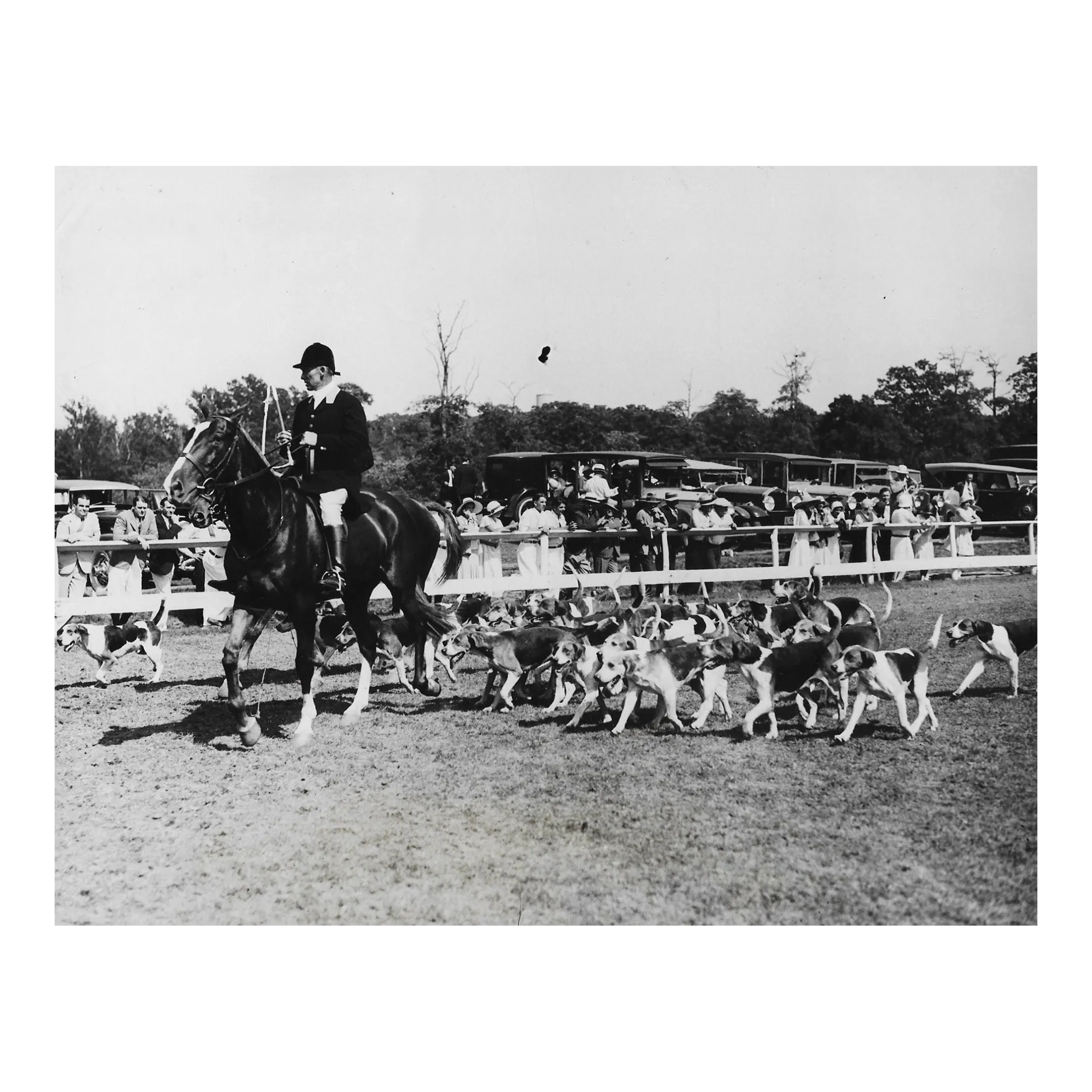 1931 Huntington Horse Show With Meadow Brook Hounds Photograph | Chairish