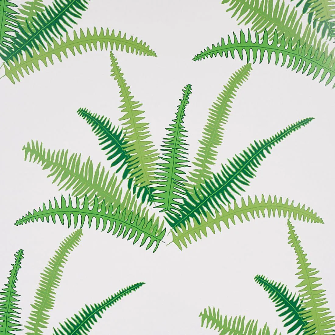 Schumacher X Cristina Buckley Canyon Ferns Wallpaper in Jungle - 10 ...