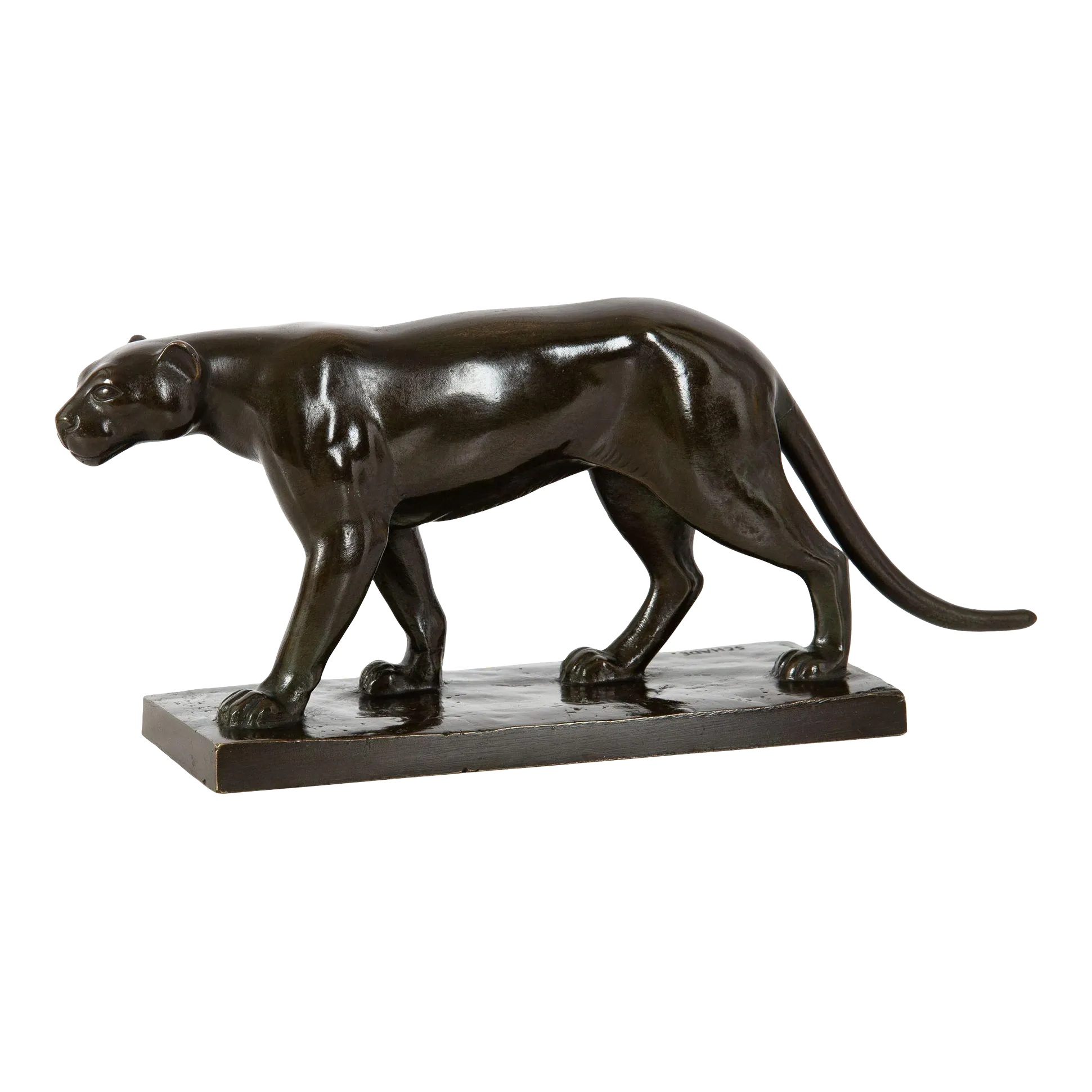 Panther Stalking