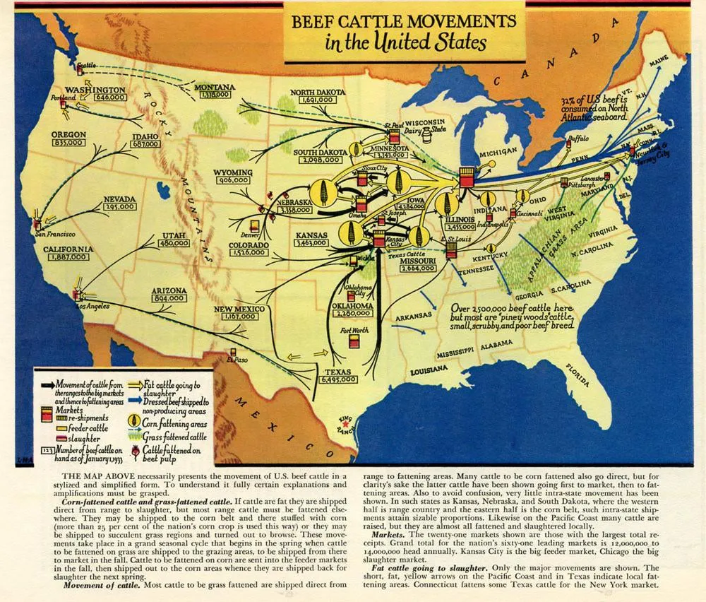 1933 Beef Cattle Movements in the United States Original Vintage Map ...