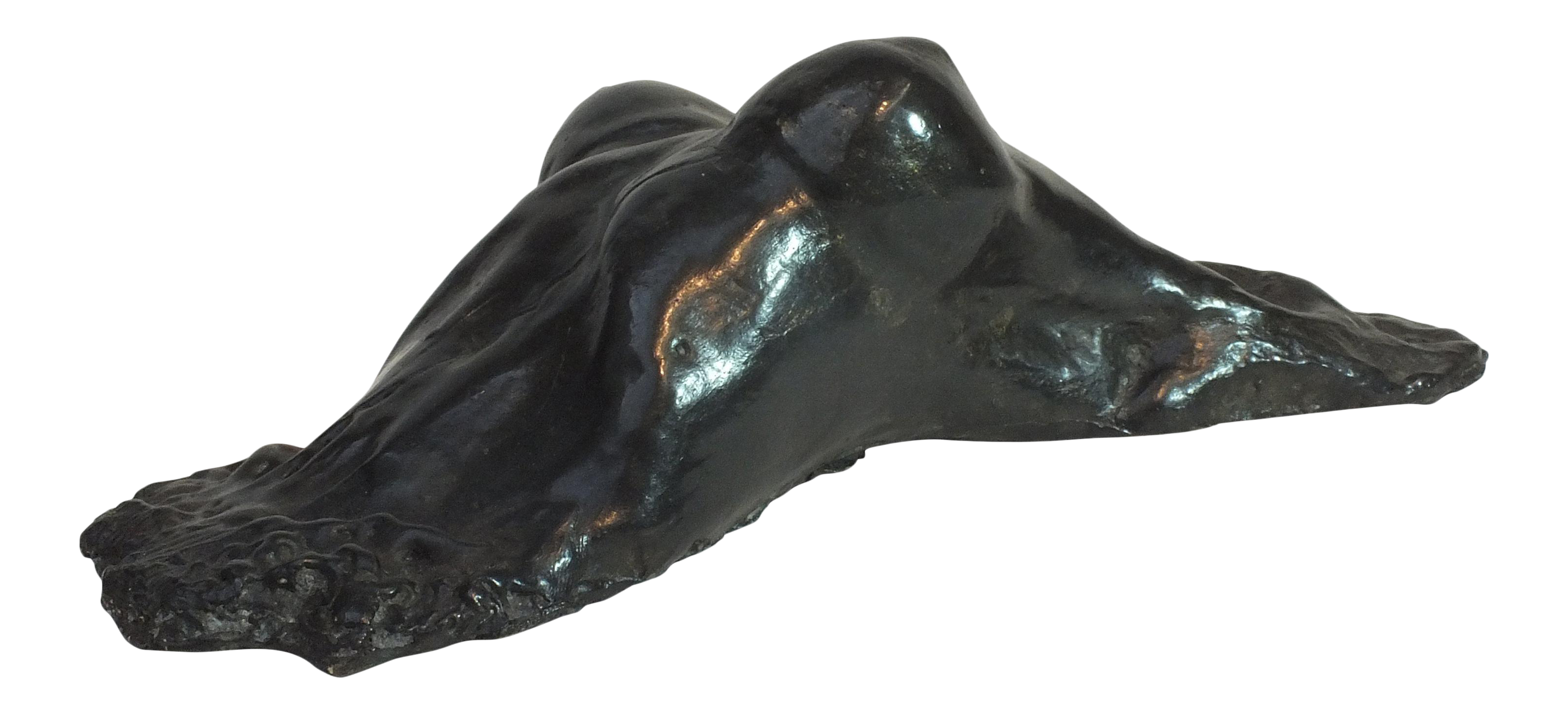 'Emergent Form' Bronze Sculpture by Tim Rawlins | Chairish