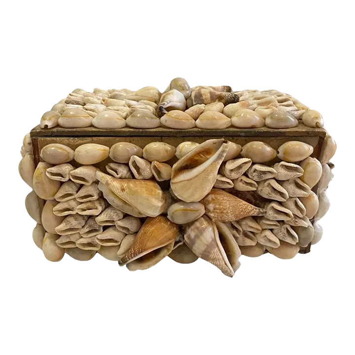 Vintage Sea Shell Jewelry Trinket Box | Chairish