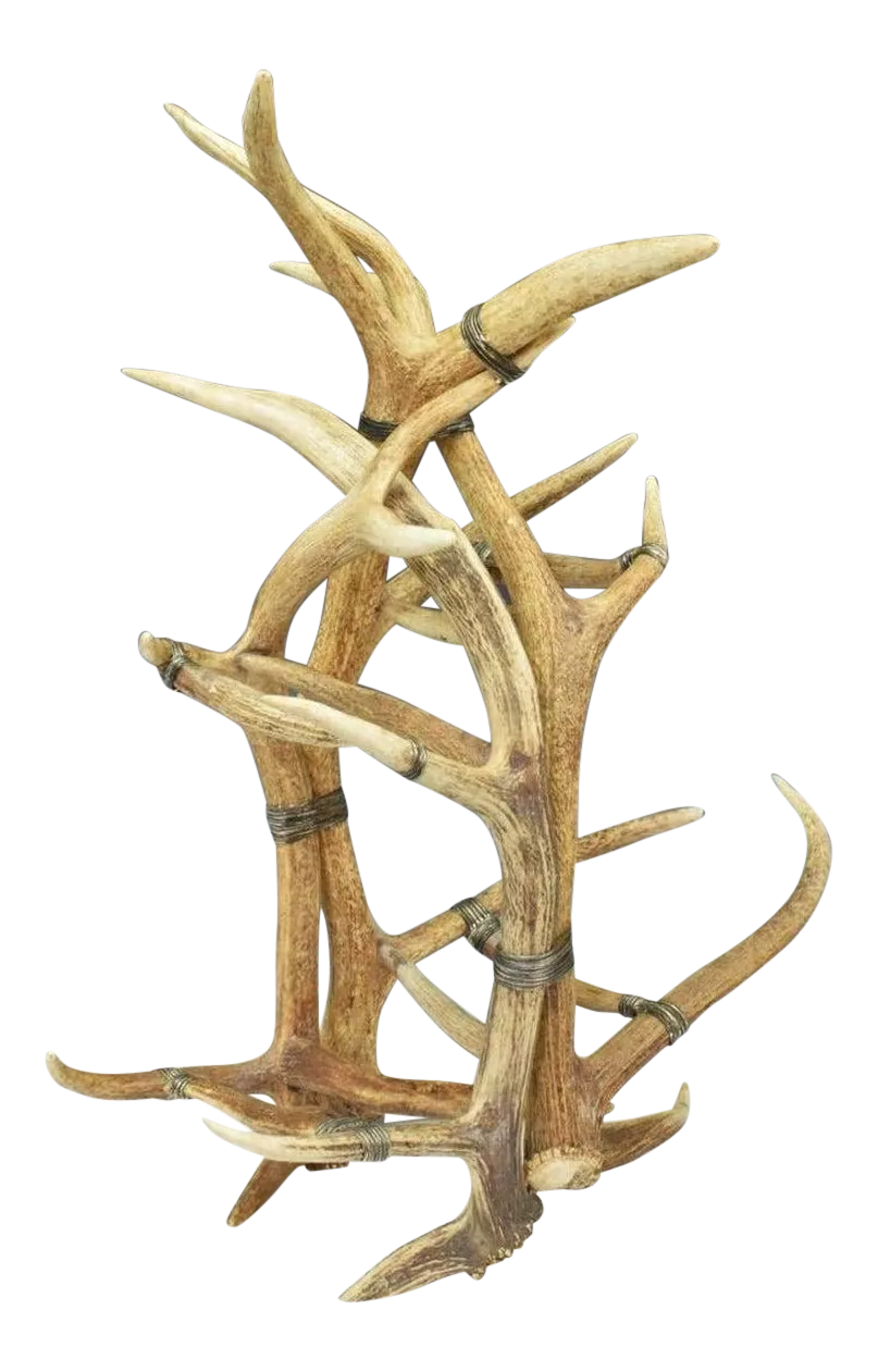 Monumental Real Antler Wine Bottle Rack Attributed to Maitland-Smith ...