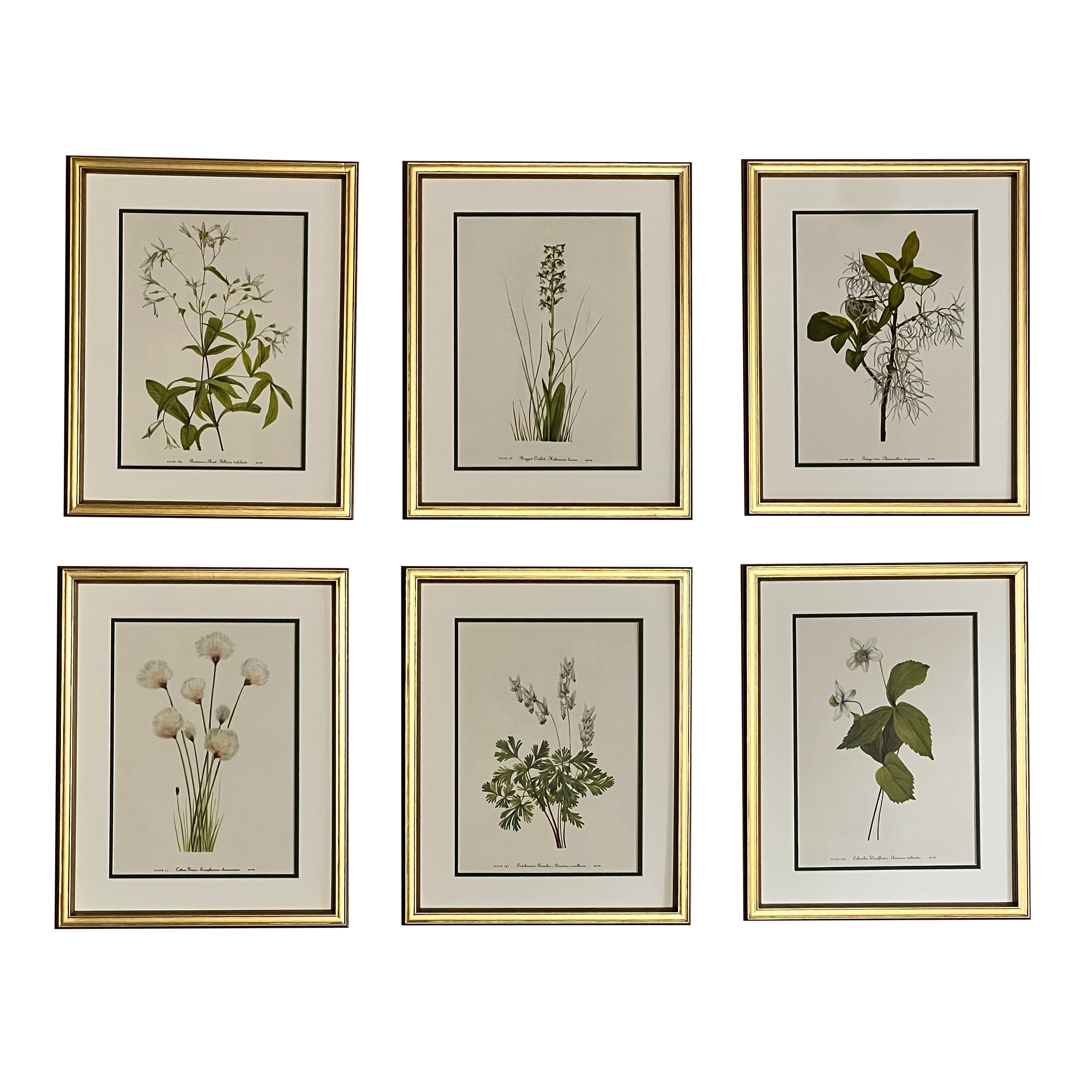 Framed Vintage Botanical Prints, Set of 6 -Authentic 1978 Prints | Chairish