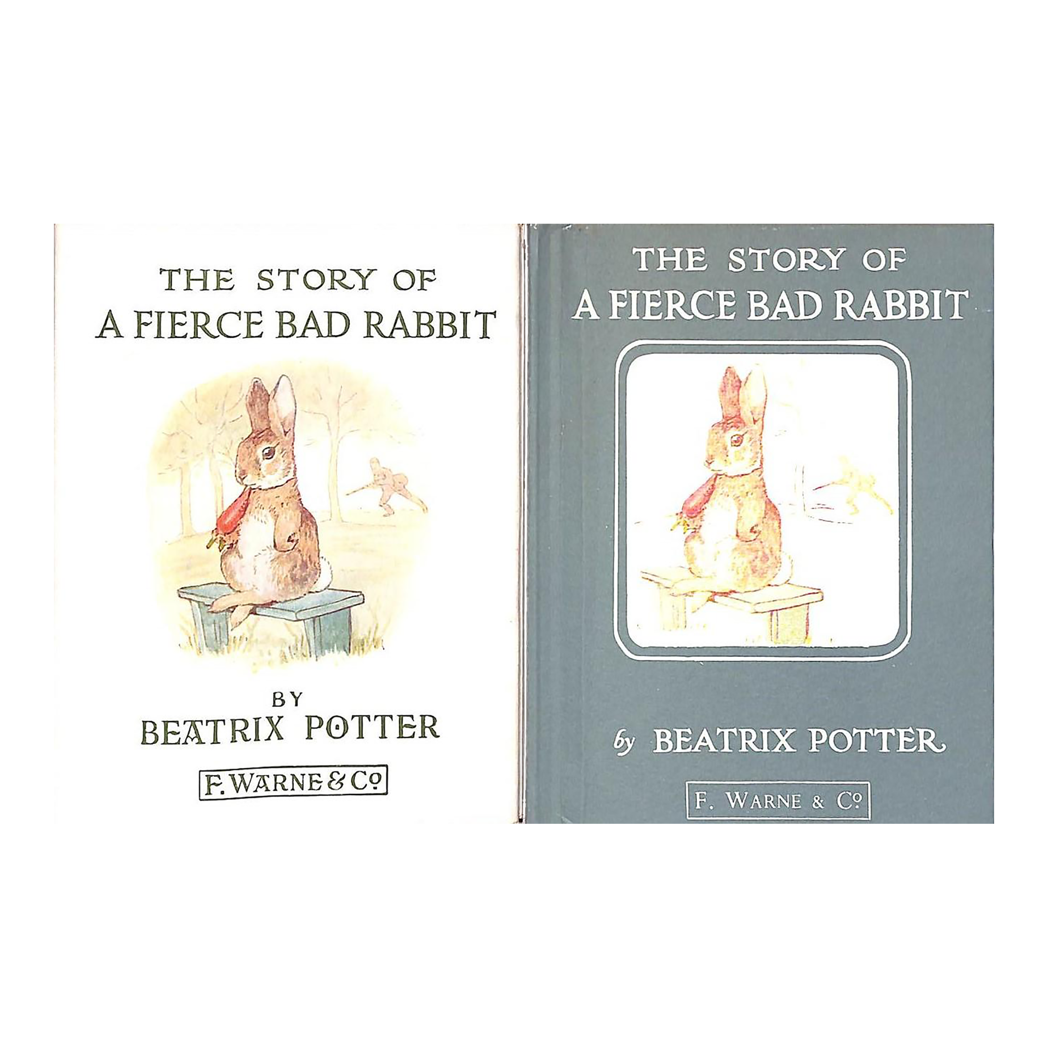"The Story of a Fierce Bad Rabbit" Potter, Beatrix | Chairish