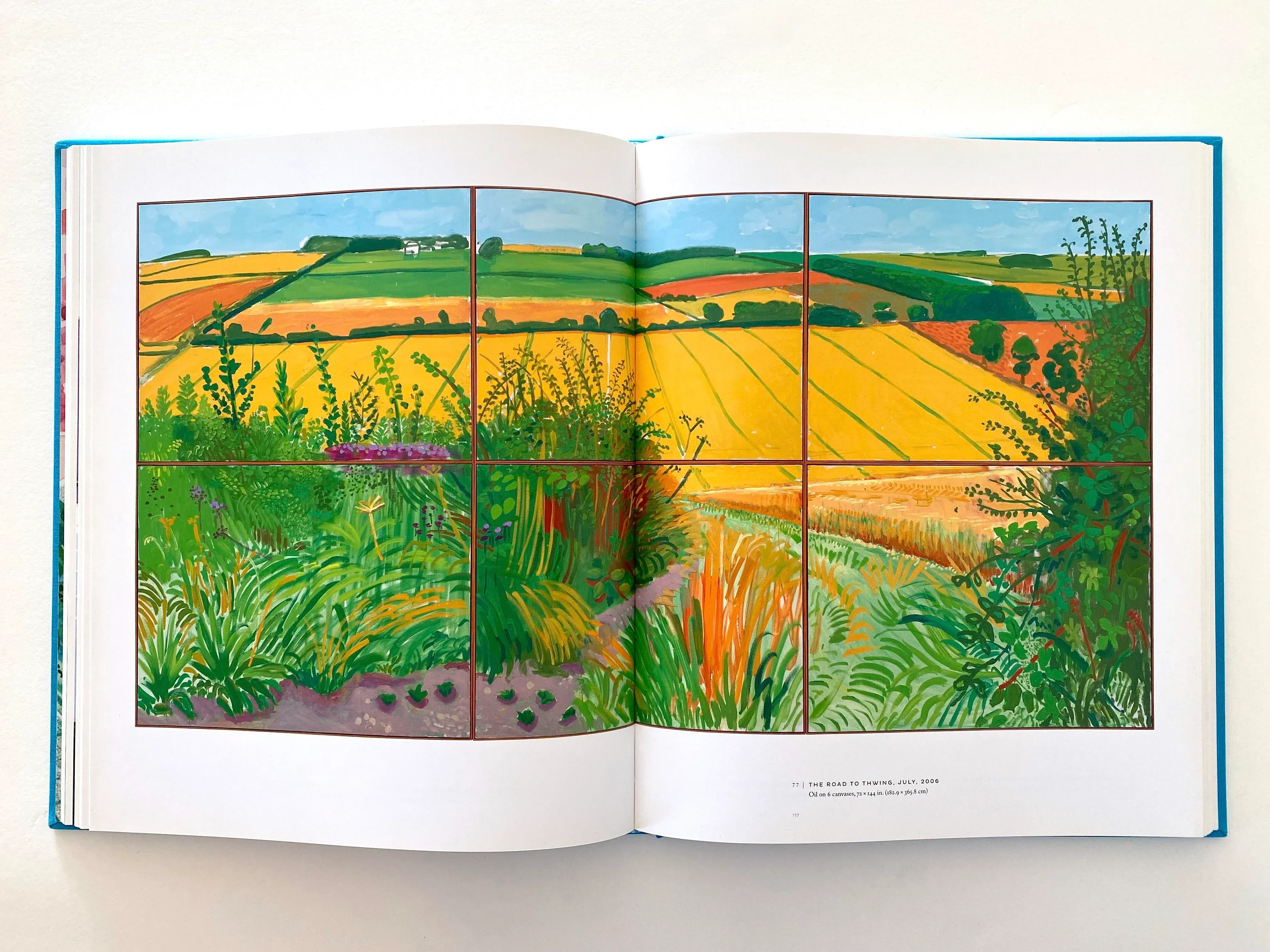 David Hockney Pop Art Paintings