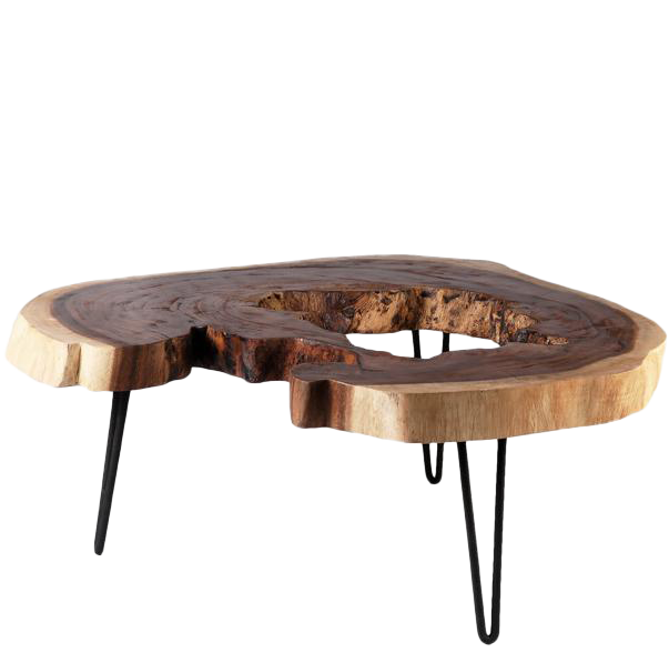 Organic Modern Lake Living Edge Coffee Table | Chairish