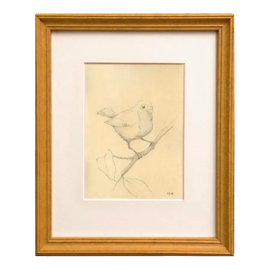 "The Robin" Original Abigail Matheson Graphite and Wash Drawing on ...